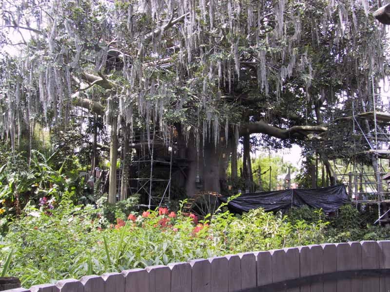 Swiss Family Treehouse