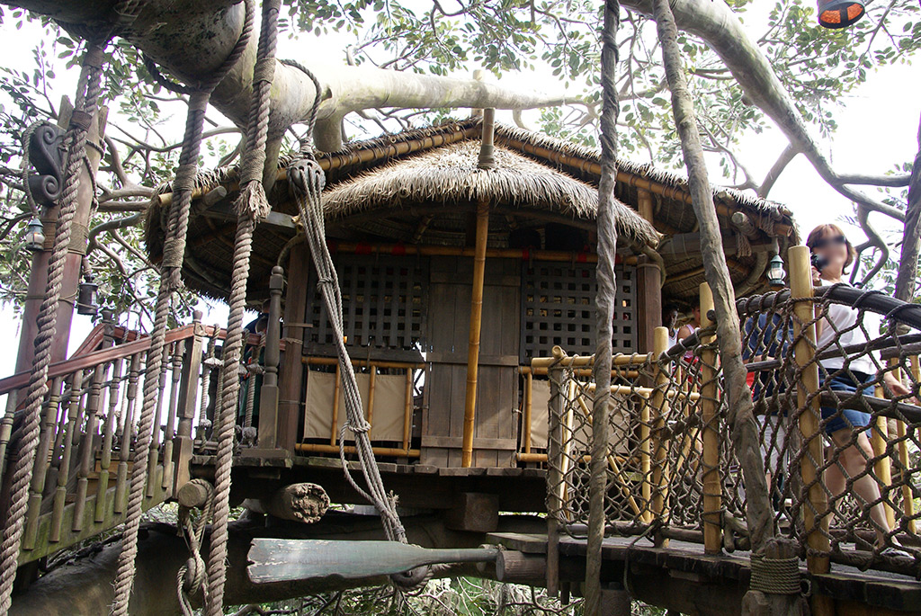 Inside the Swiss Family Treehouse and the view from the top - Photo 14 ...