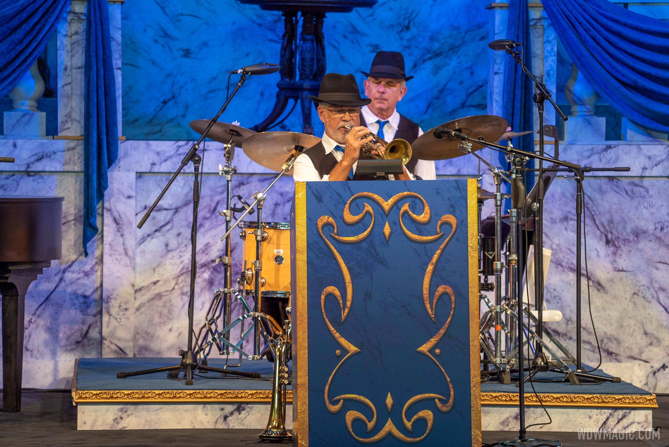 The Disney Society Orchestra and Friends overview - Photo 5 of 13