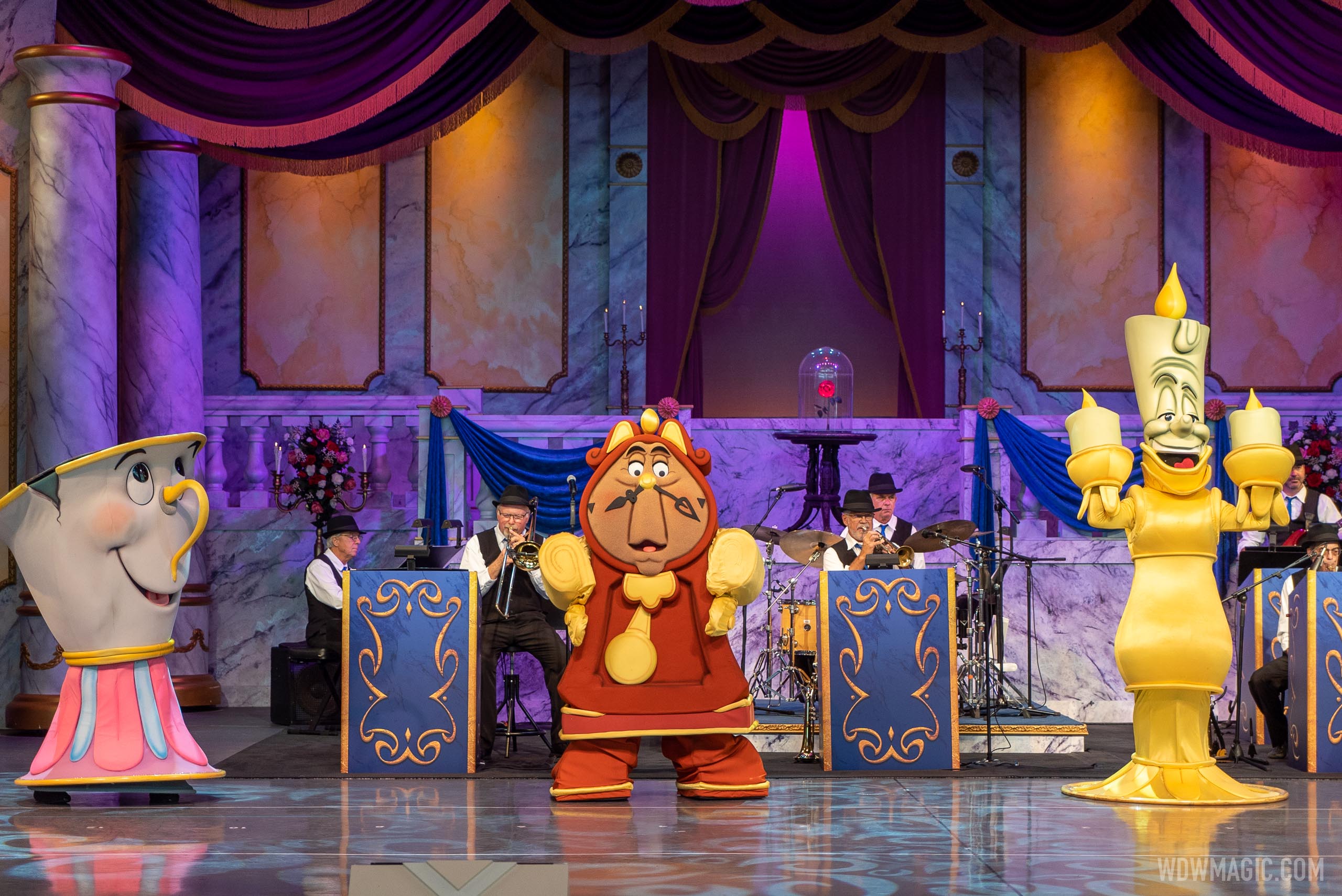 The Disney Society Orchestra and Friends overview - Photo 10 of 13
