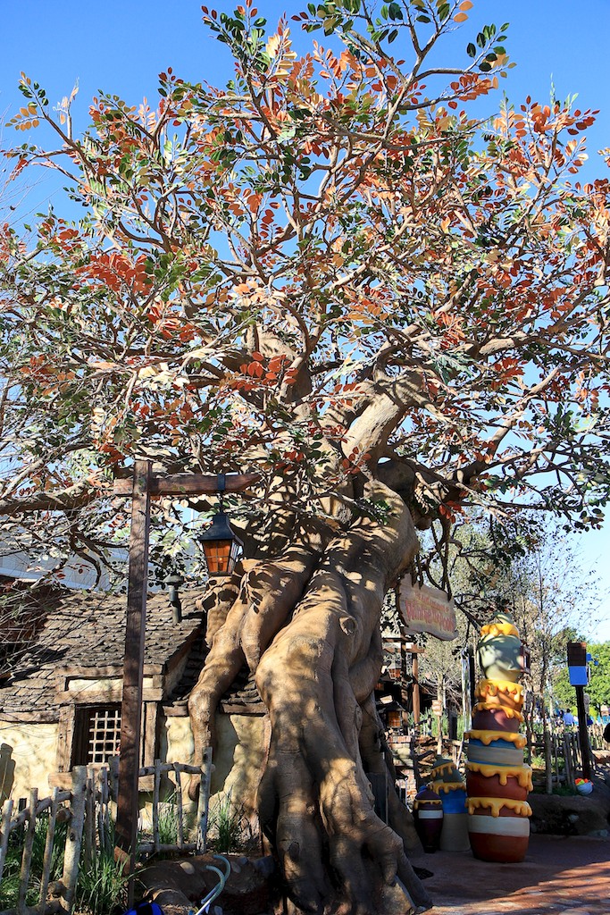 Photos - Many Adventures of Winnie the Pooh queue area now open and ...