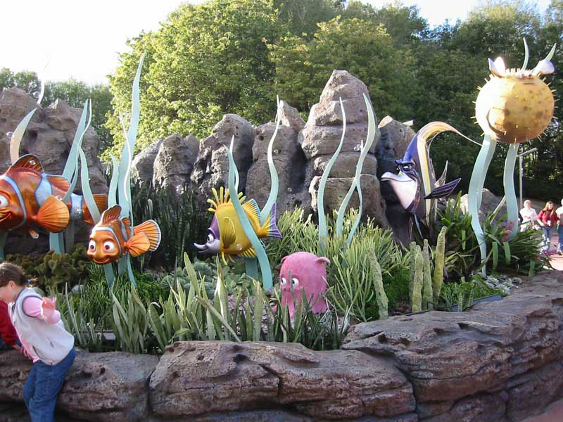 Finding Nemo at the Living Seas