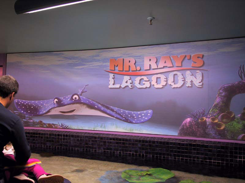 Finding Nemo at the Living Seas