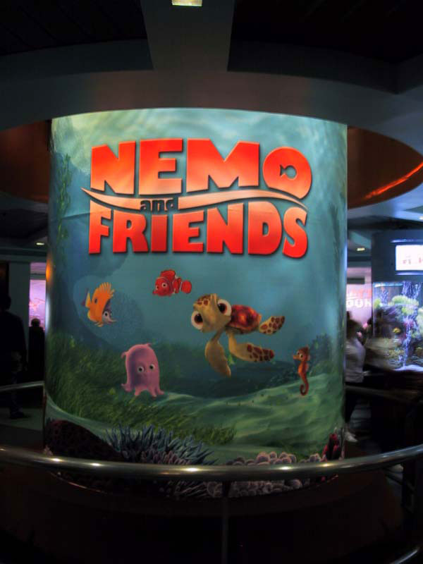 More Nemo - Photo 4 of 5
