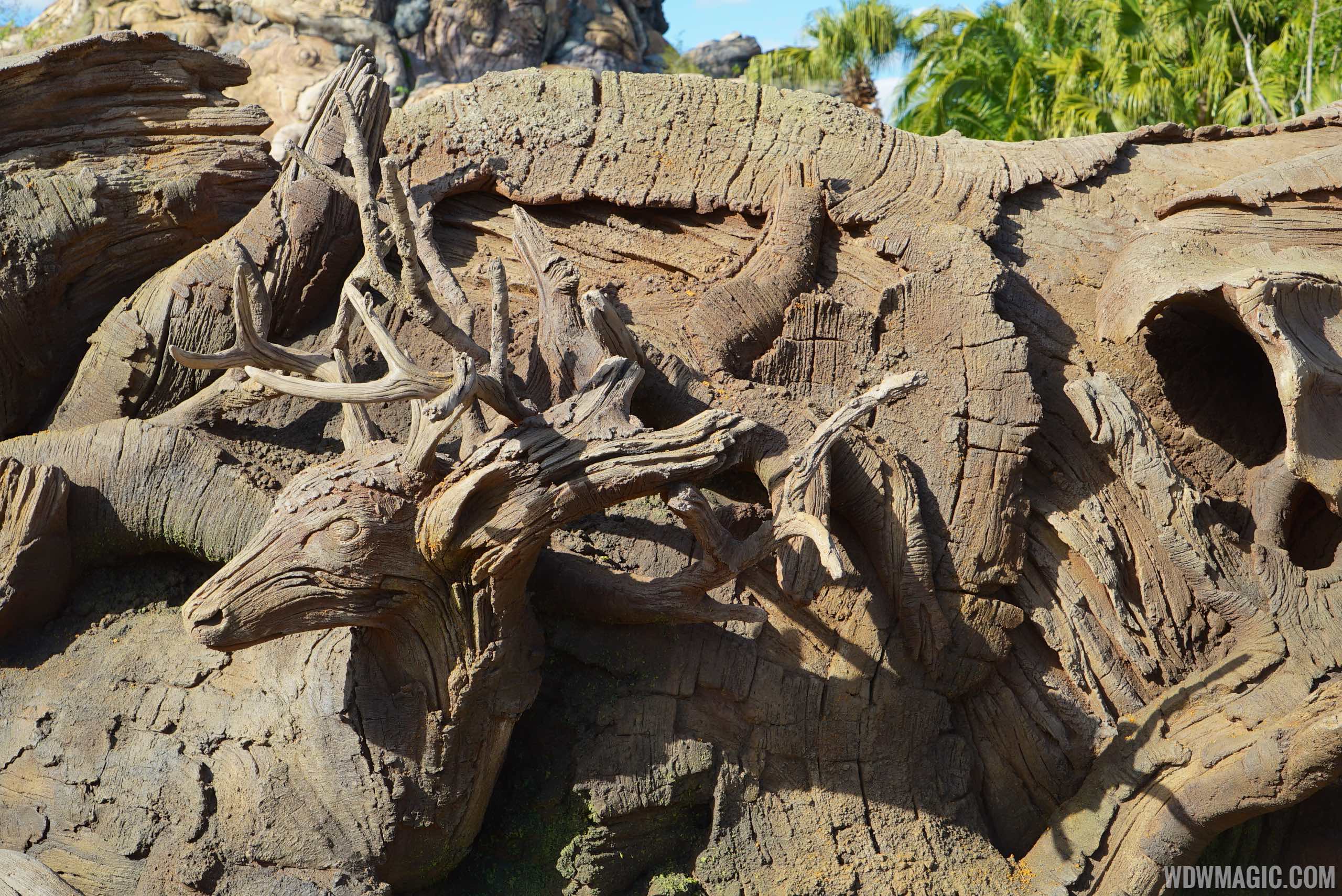 New roots at the Tree of Life - Photo 3 of 6