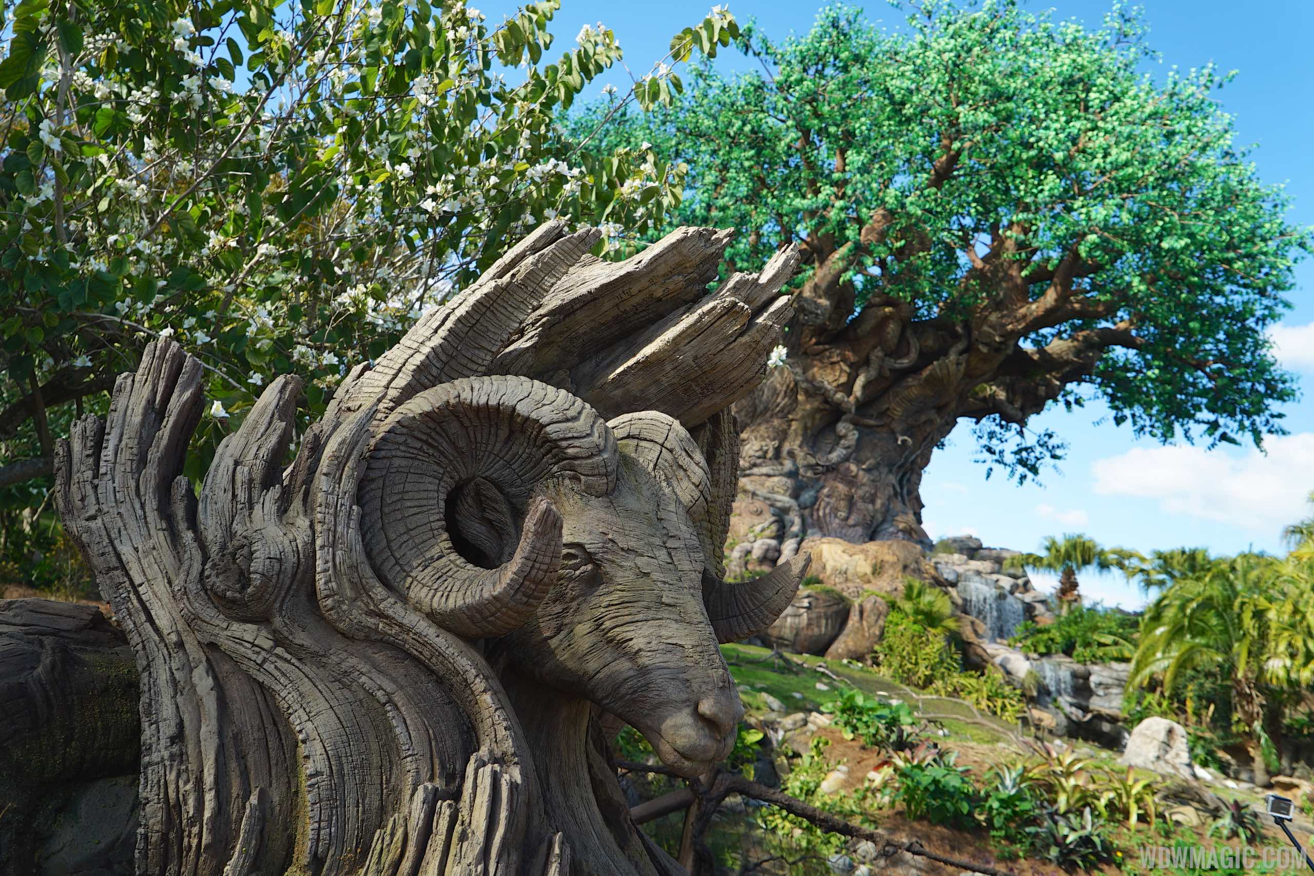 New roots at the Tree of Life - Photo 4 of 6