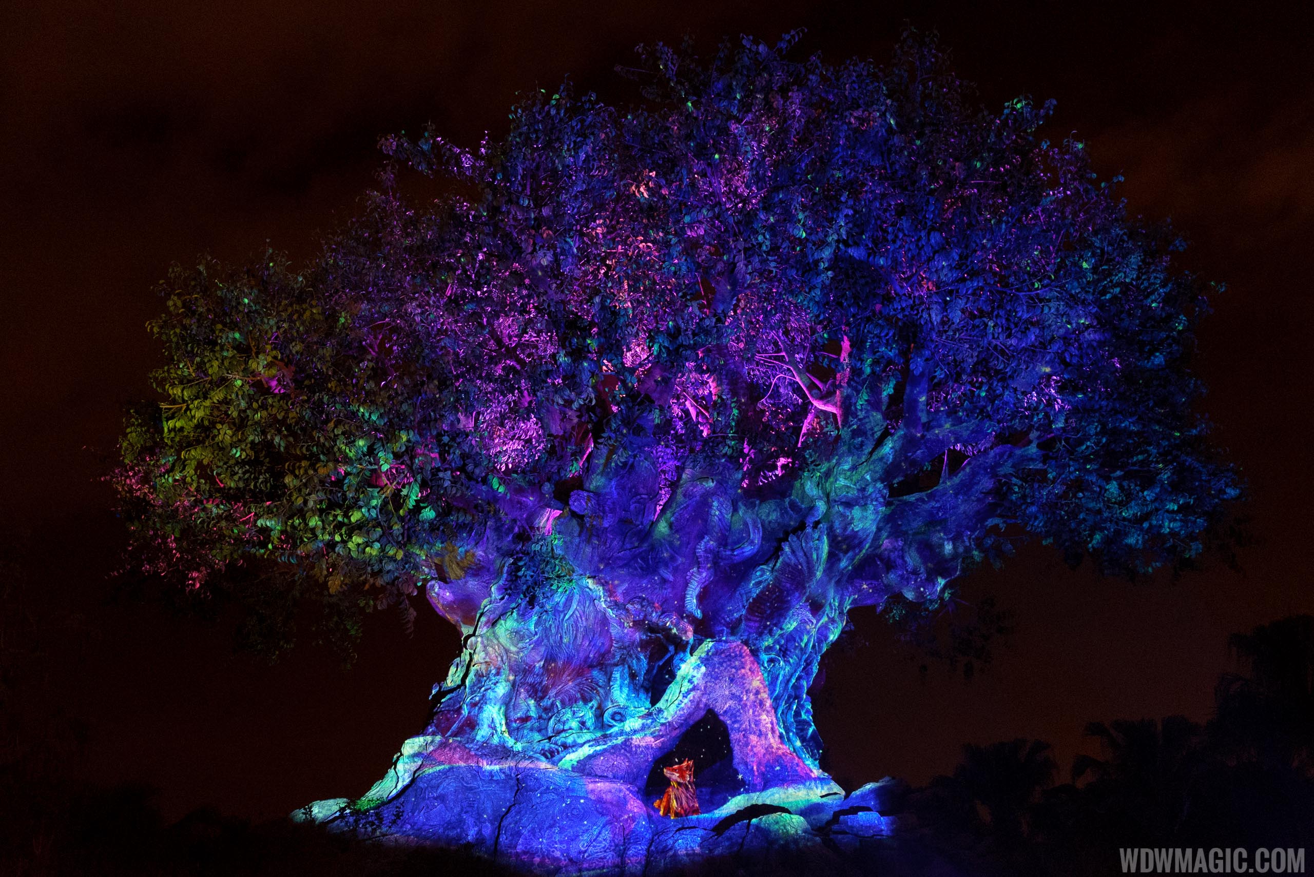 Tree of Life Awakens - Photo 3 of 4
