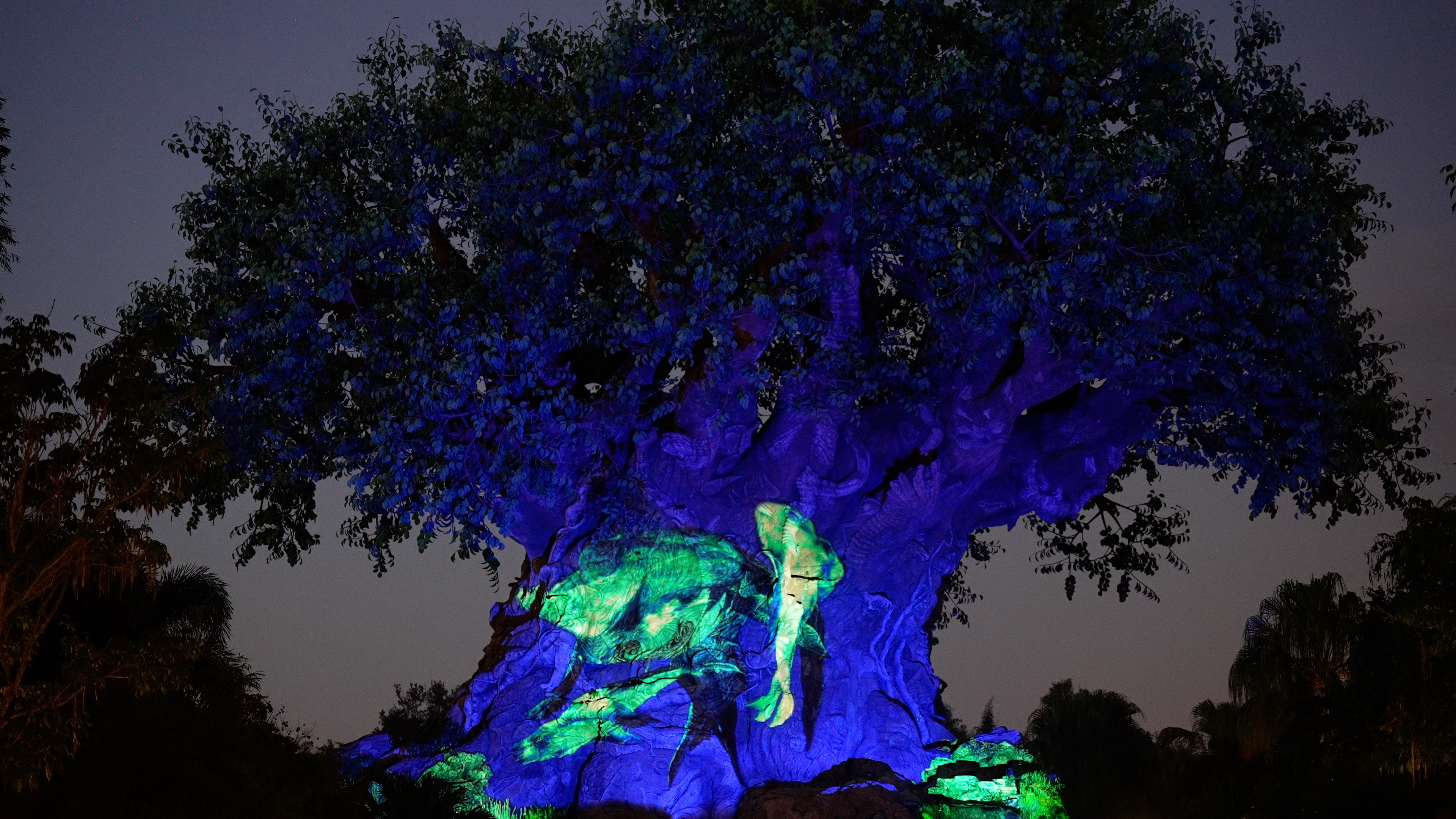 Tree of Life Awakens - 'Avatar: The Way of Water' projection show ...