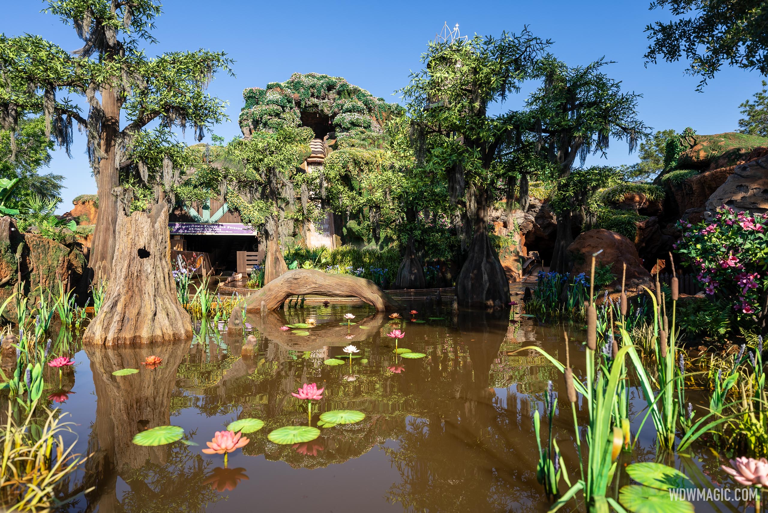Tiana's Bayou Adventure Exterior and Queue - Photo 7 of 65