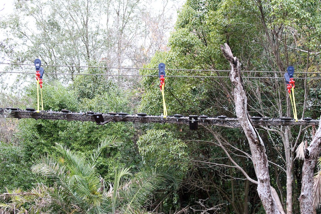Rope bridge installation and camp buildings - Photo 3 of 8