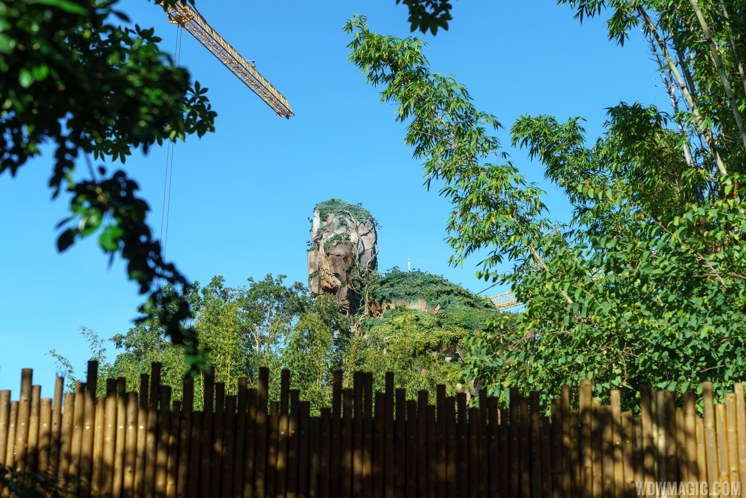 PHOTOS - Pandora The World of AVATAR construction