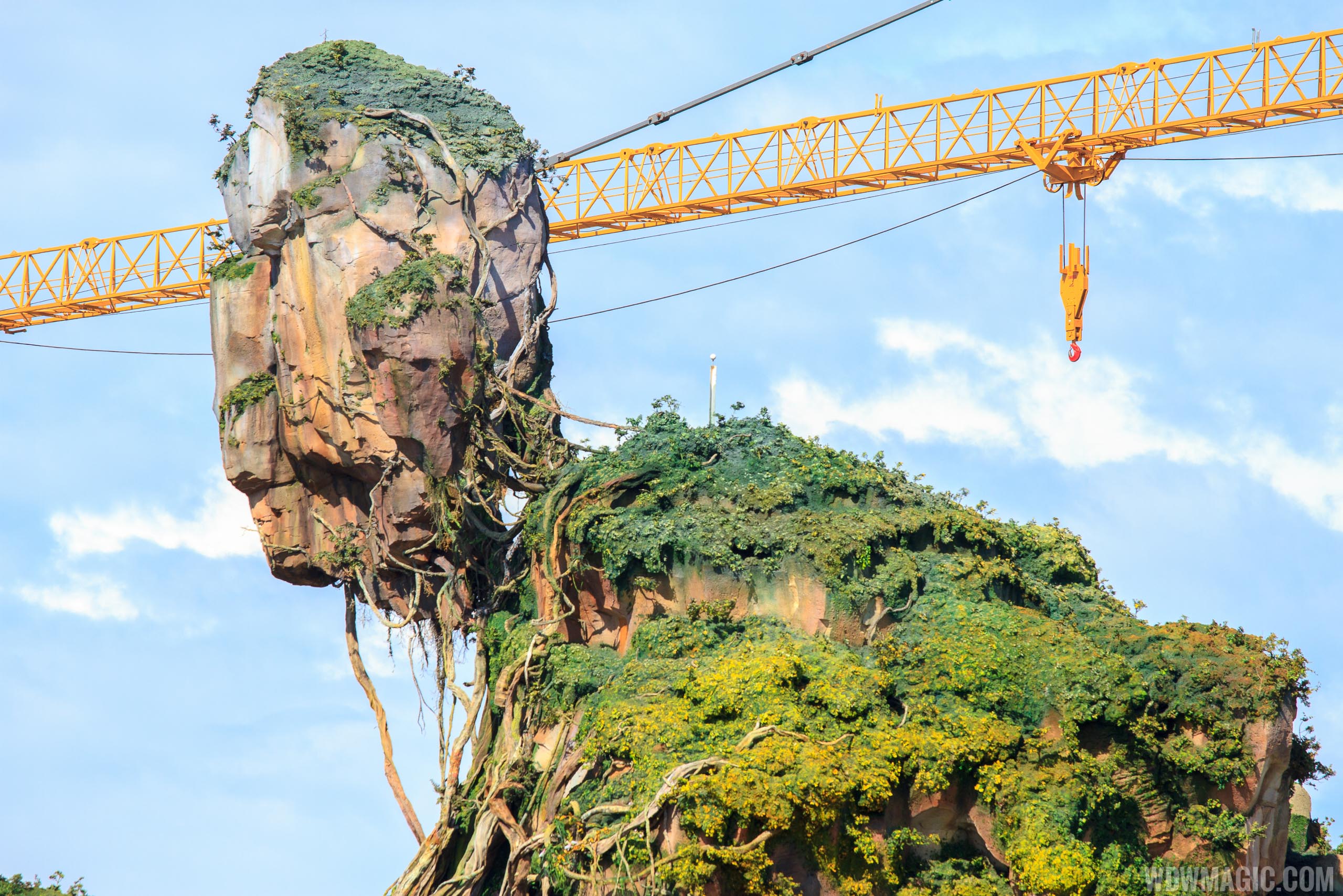 PHOTOS - Pandora The World of AVATAR construction