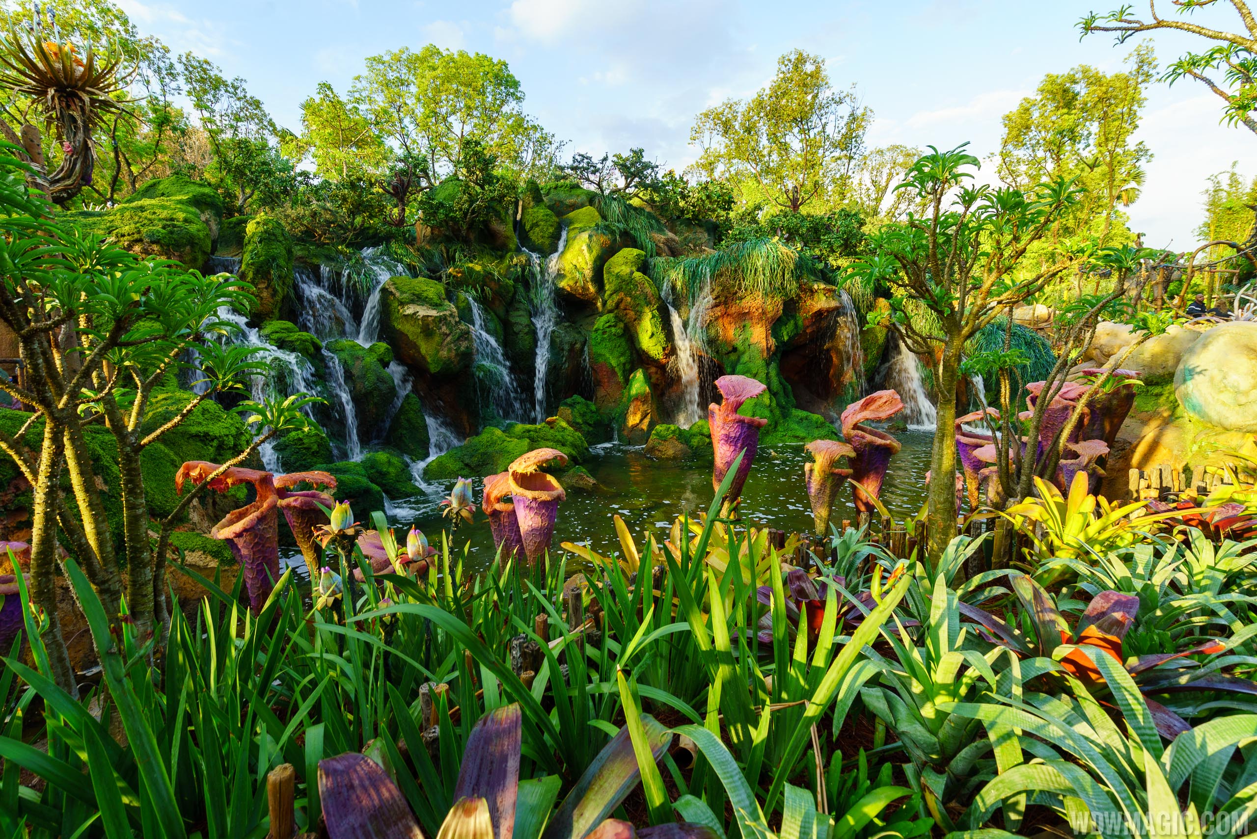 The Landscape of Pandora - The World of Avatar - Photo 17 of 28