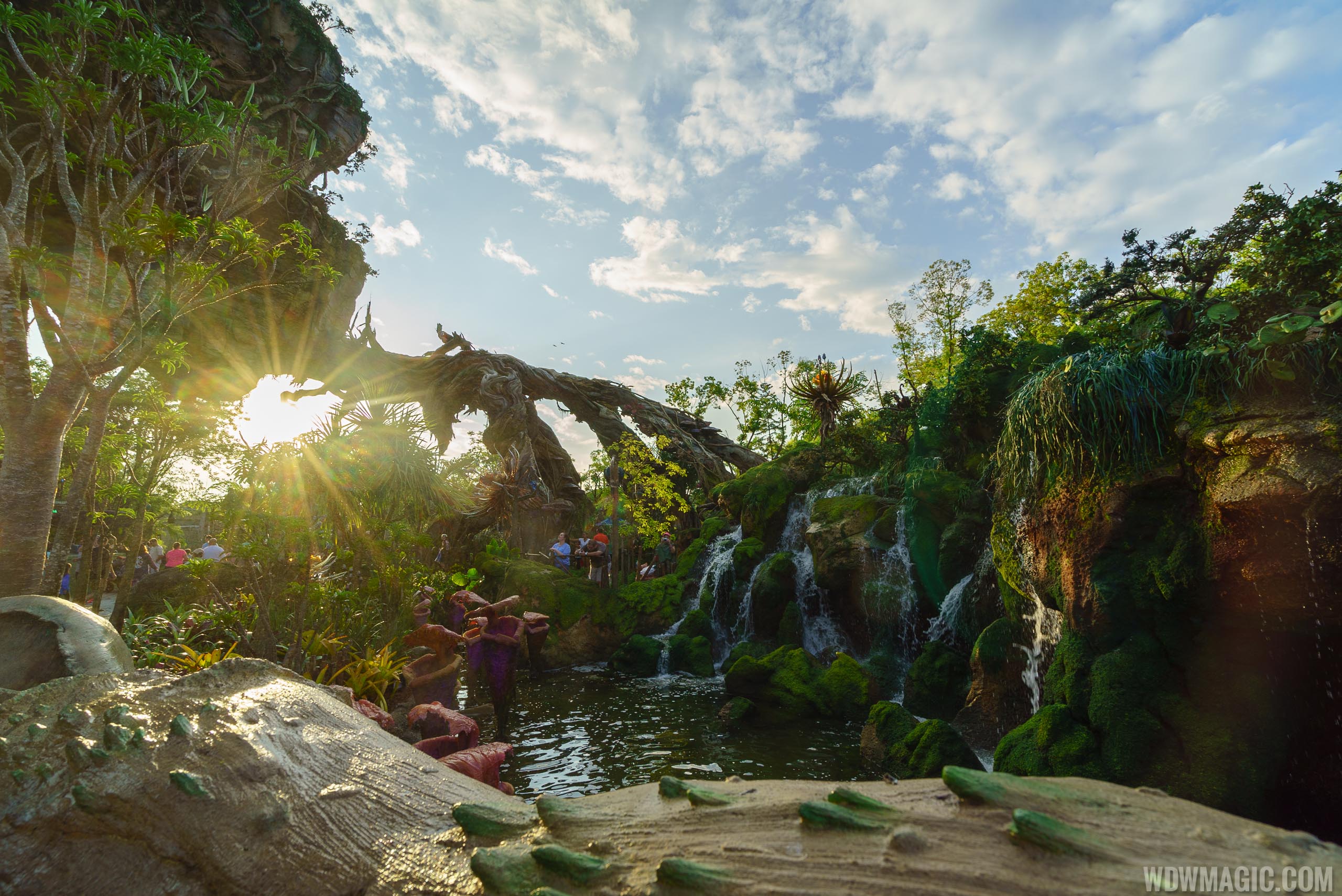 The Landscape of Pandora - The World of Avatar - Photo 4 of 28