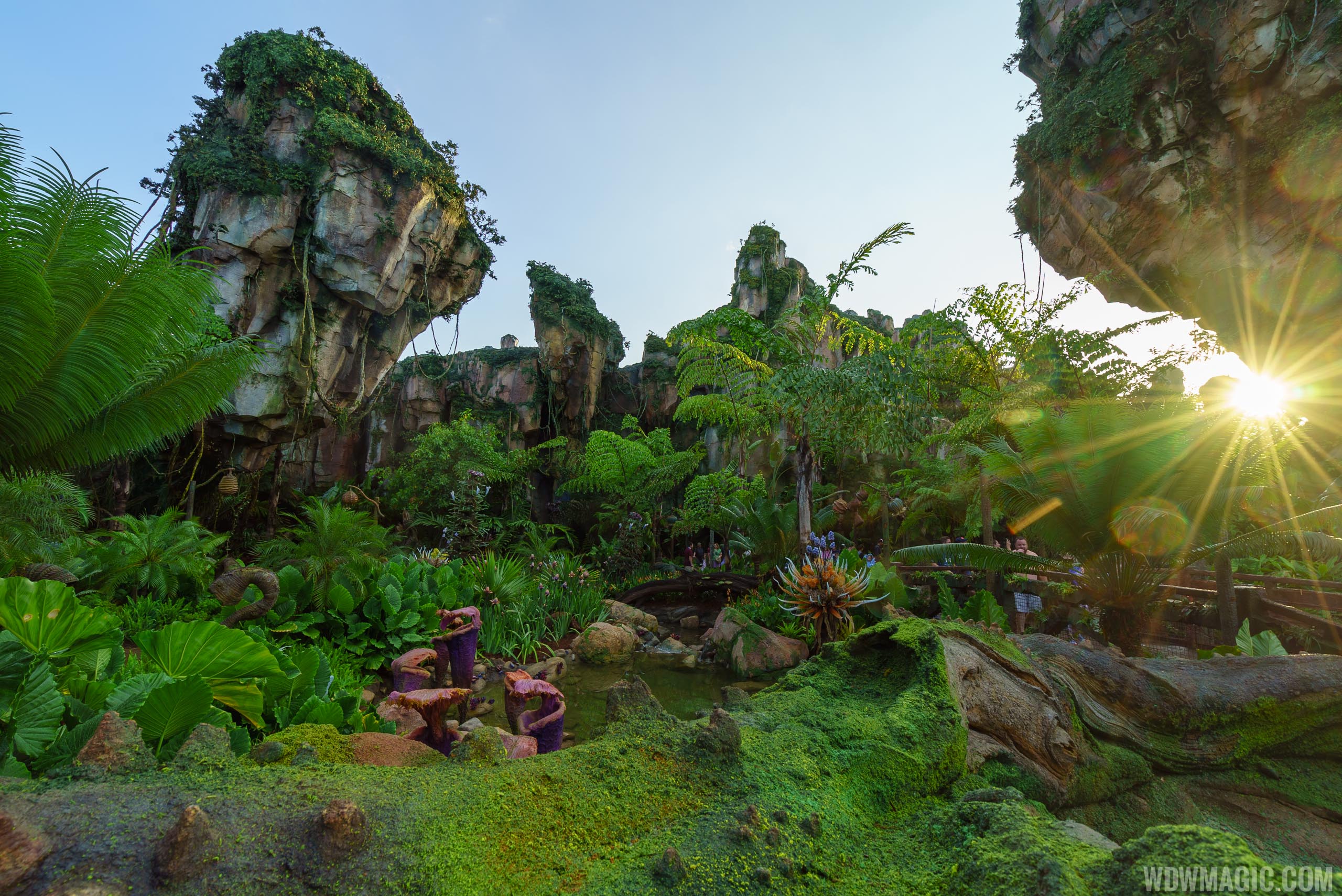 The Landscape of Pandora - The World of Avatar - Photo 8 of 28