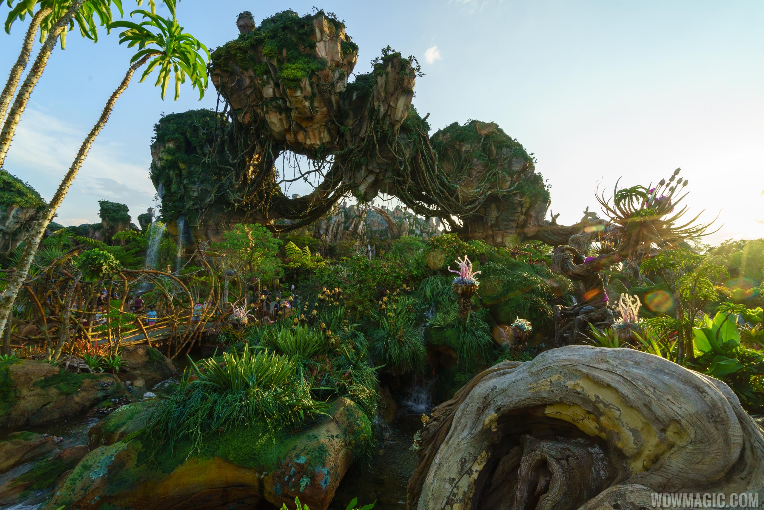 The Landscape of Pandora - The World of Avatar - Photo 3 of 28