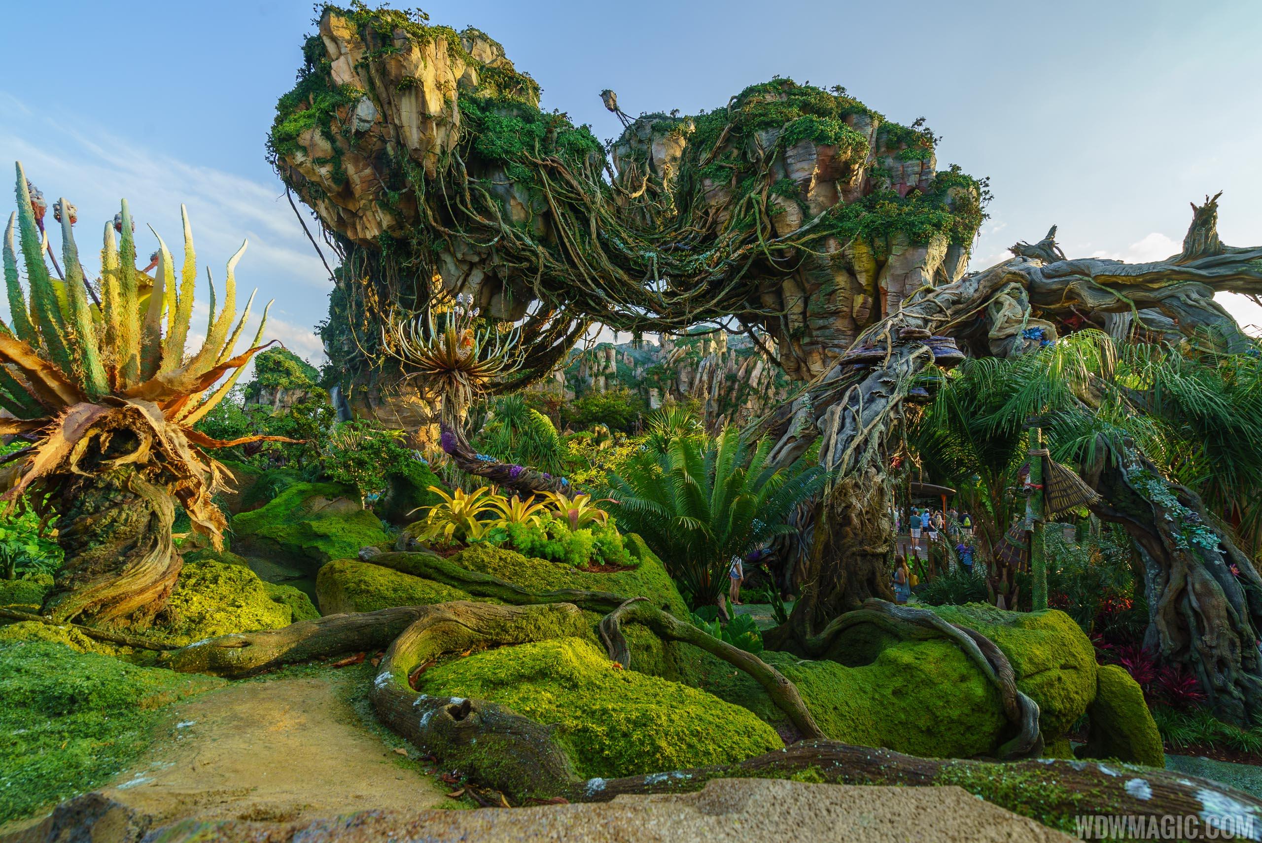 The Landscape of Pandora - The World of Avatar - Photo 18 of 28
