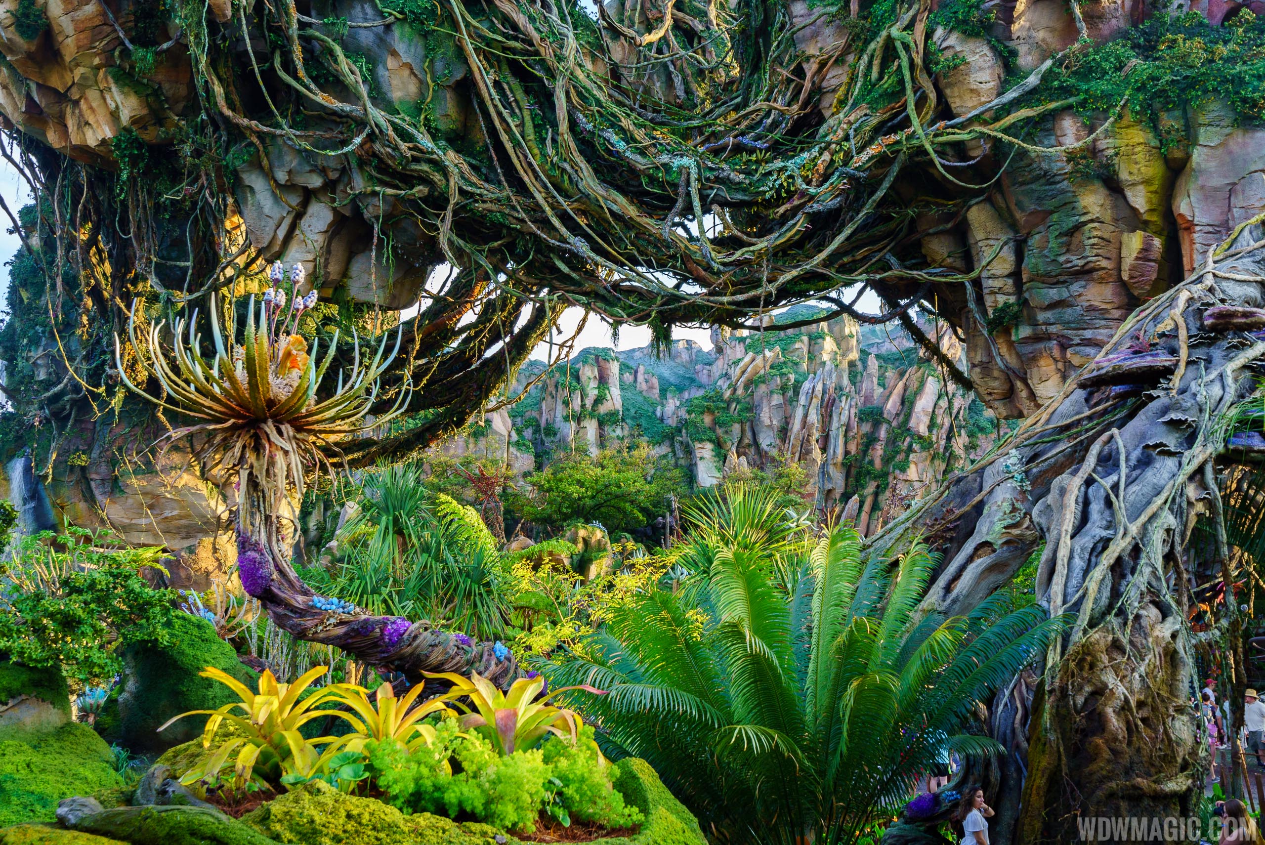 The Landscape of Pandora - The World of Avatar - Photo 19 of 28