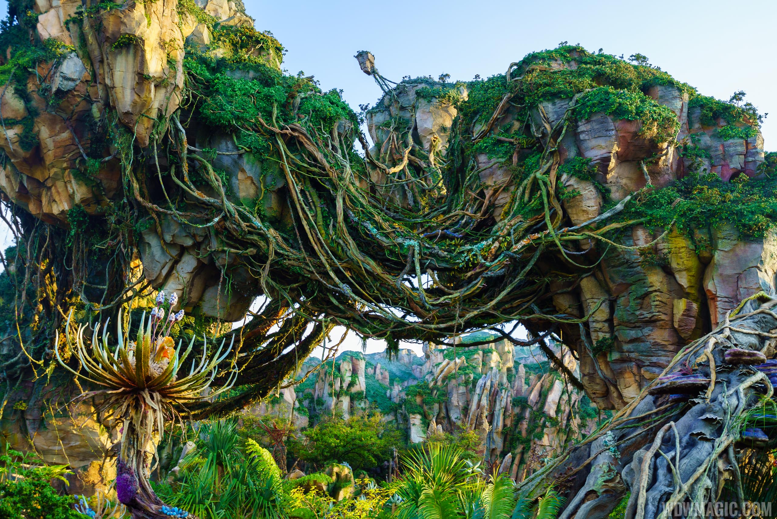 The Landscape of Pandora - The World of Avatar - Photo 20 of 28
