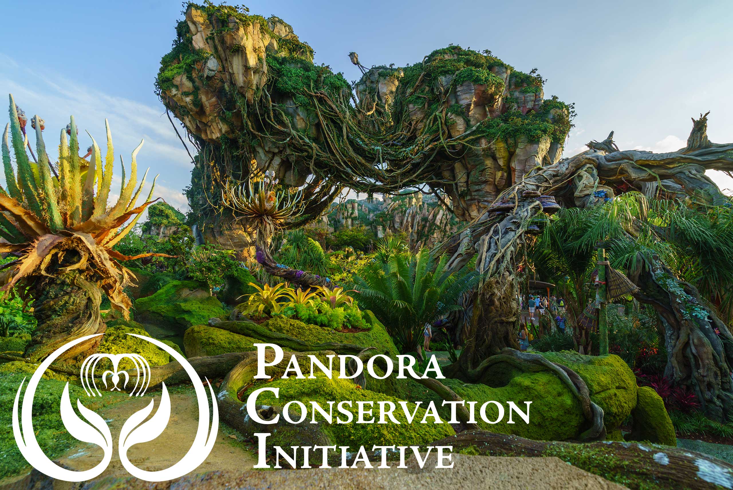 Alpha Centauri Expeditions and The Pandora Conservation Initiative ...