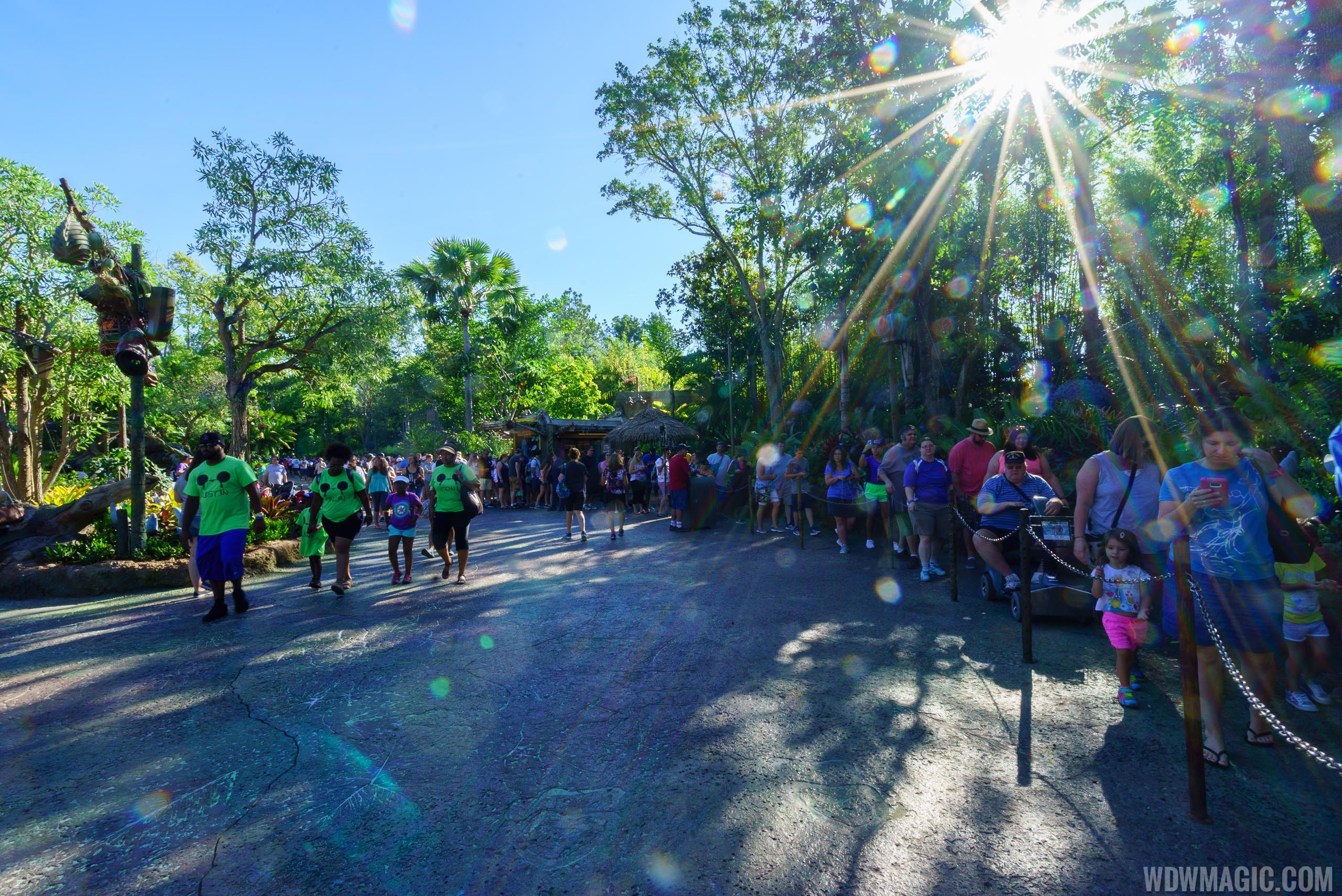 Opening day crowds at Pandora - The World of Avatar - Photo 11 of 13