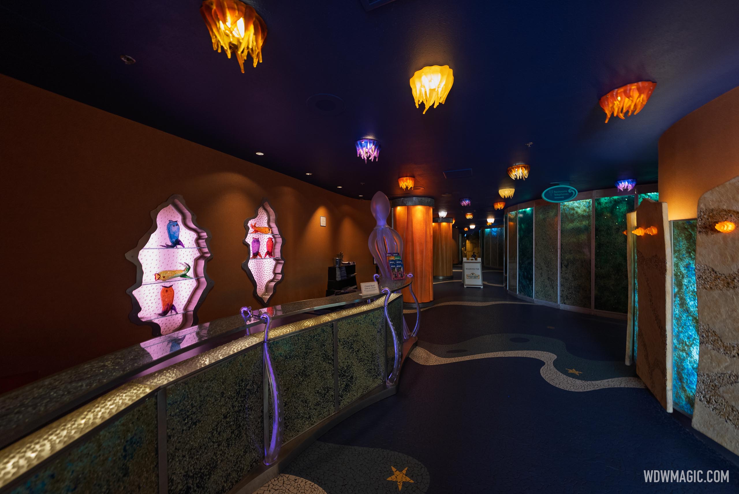 Coral Reef Overview - Photo 3 of 3