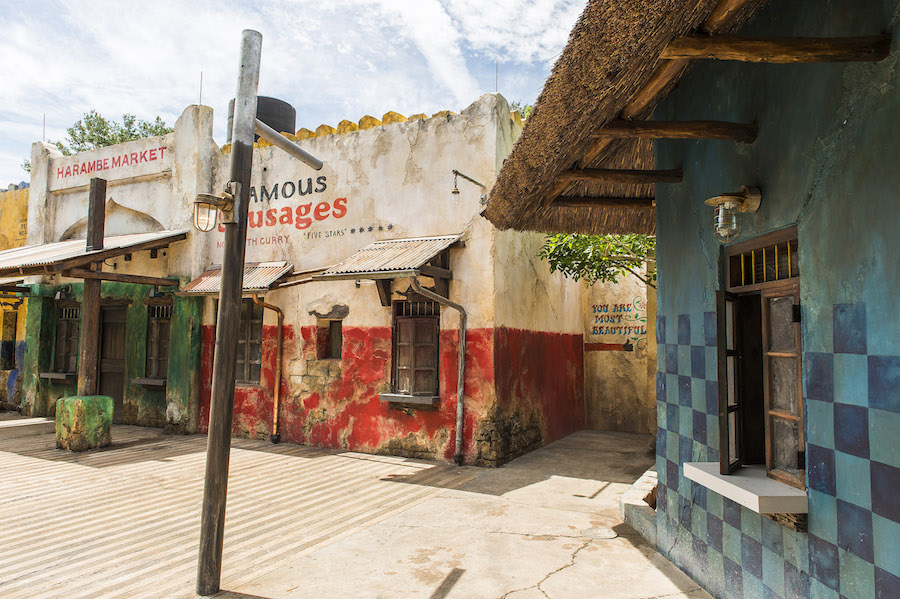 Harambe Market behind the walls - Photo 3 of 14