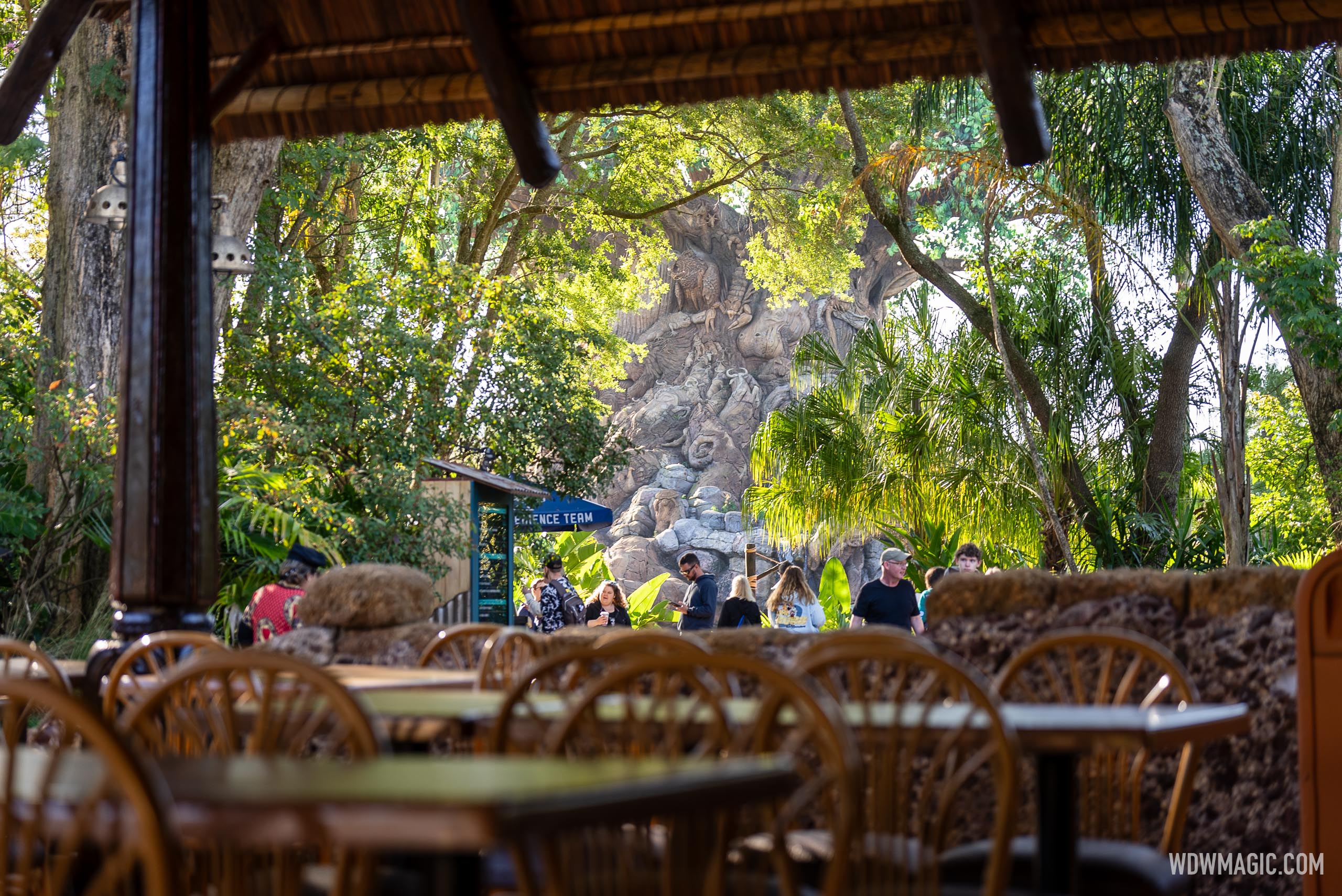 New Harambe Market and Tamu Tamu seating area - Photo 15 of 18