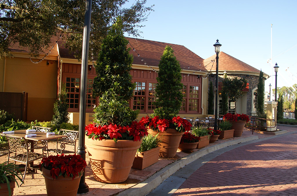 New look Portobello opens