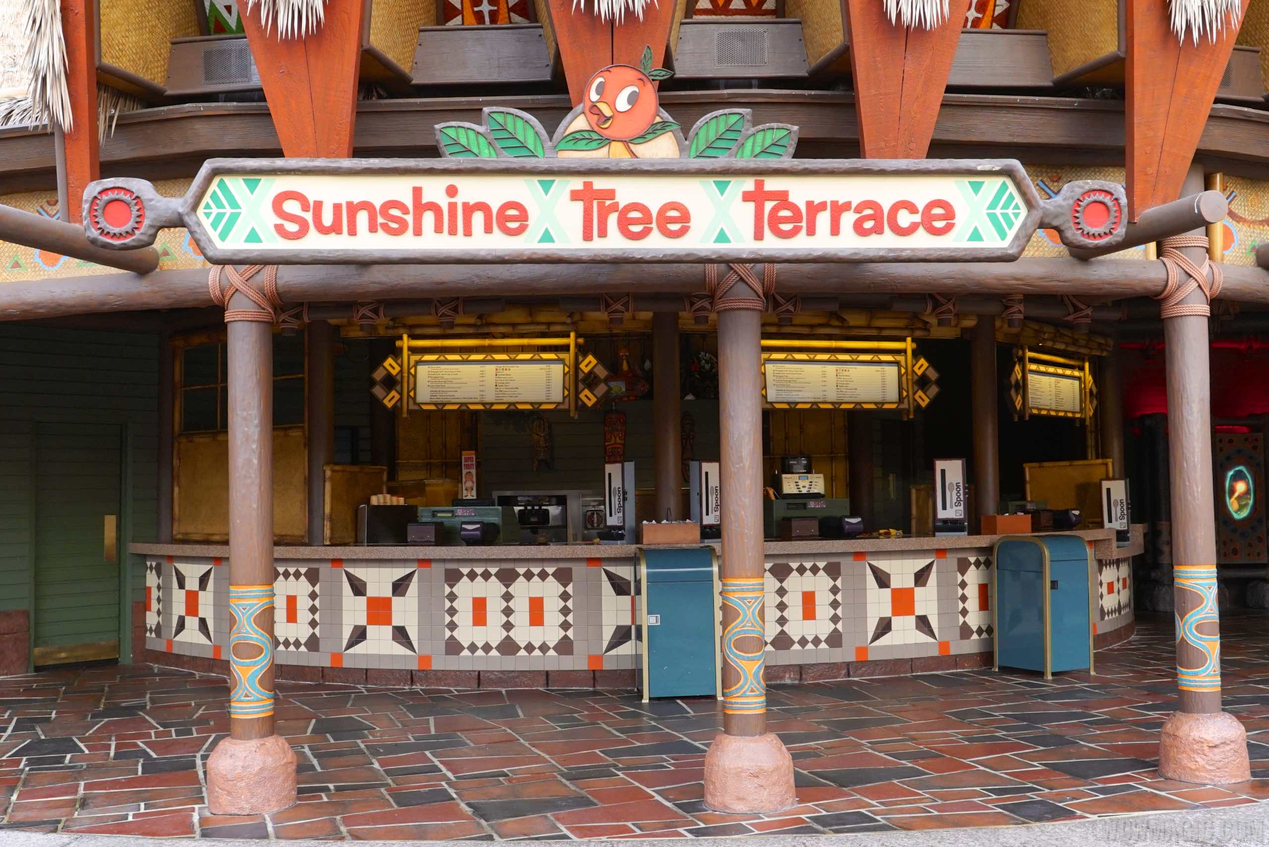 Sunshine Tree Terrace overview - Photo 4 of 6
