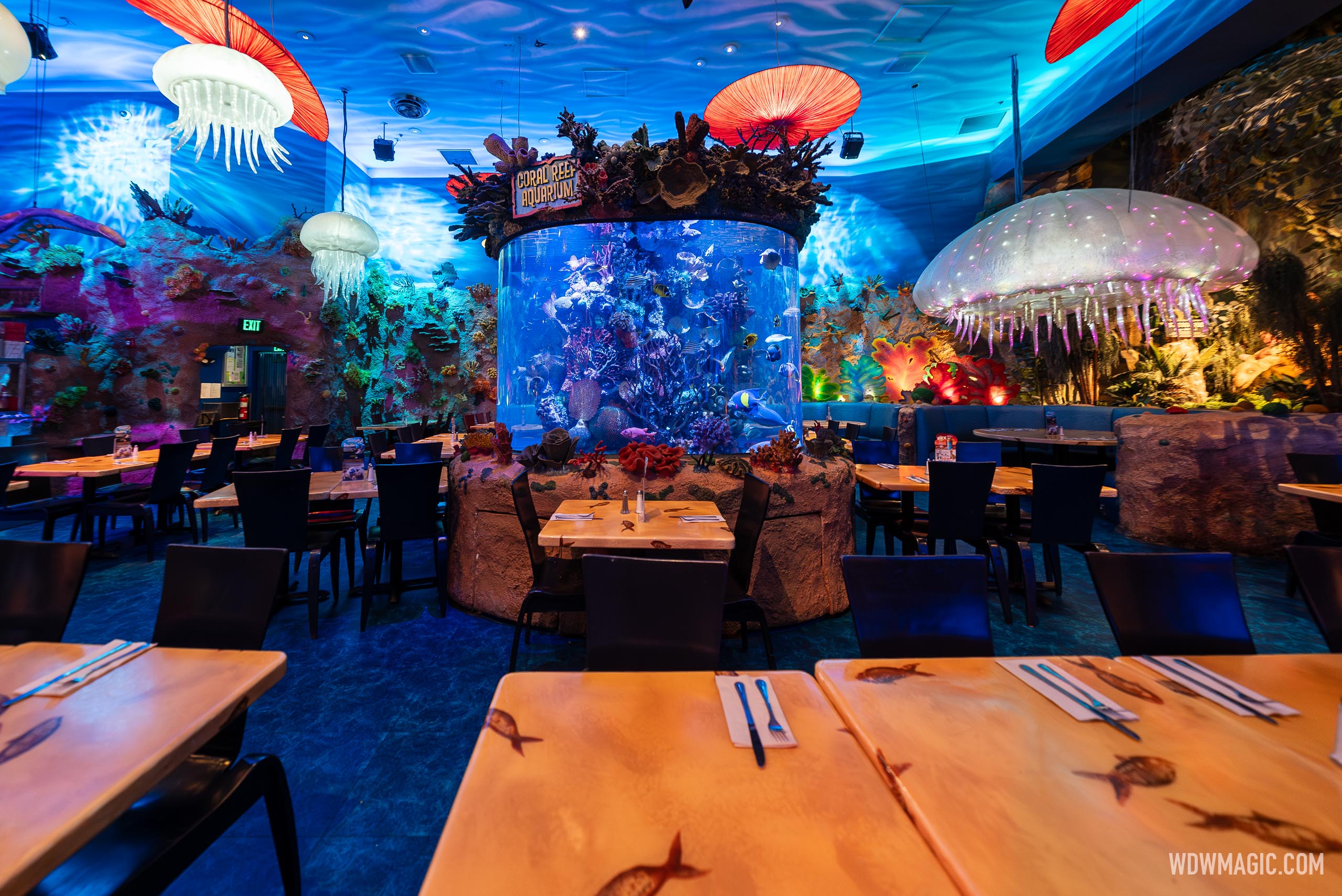 T-REX Dining Rooms - Photo 5 of 11