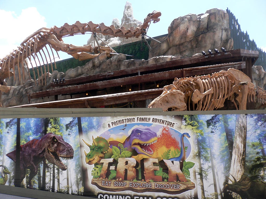 Latest T-REX restaurant construction photos