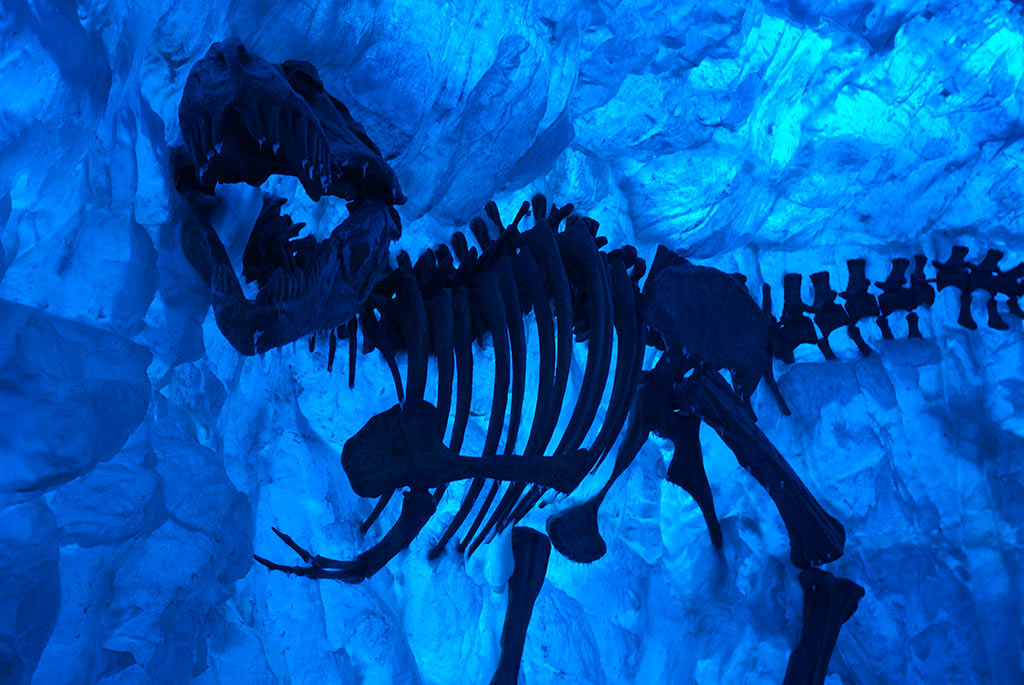 Inside T-Rex - Photo 11 of 32