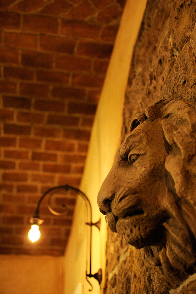 First look inside the new Tutto Gusto, small plate food, and Tutto ...