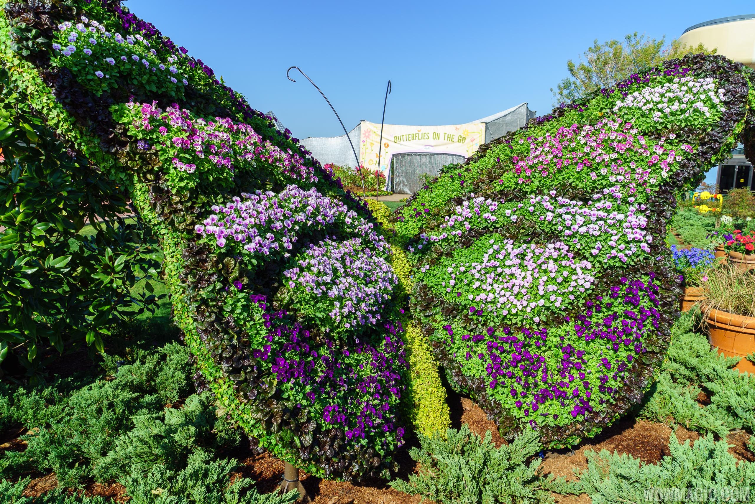 2016 Epcot International Flower and Garden Festival topiary tour ...