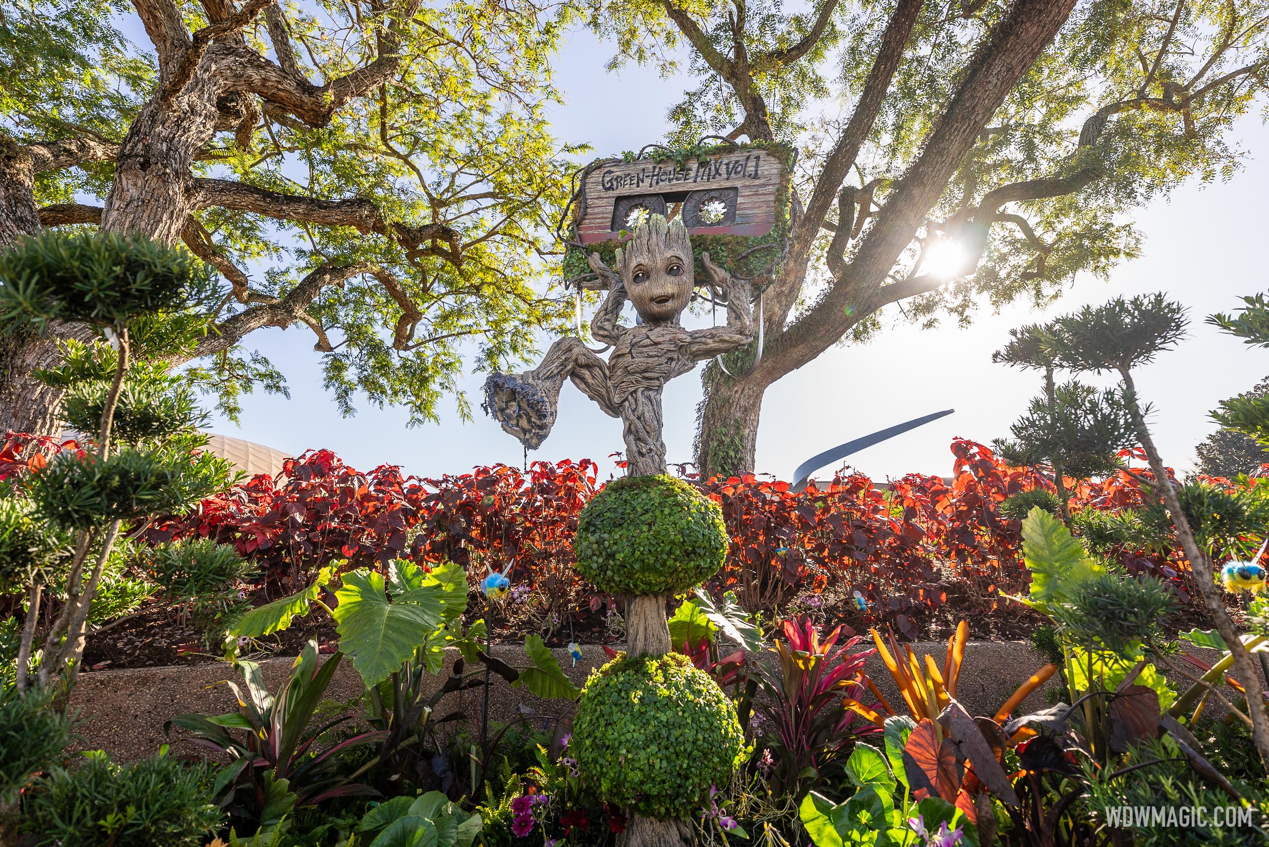 Groot Topiary at EPCOT International Flower and Garden Festival - Photo ...