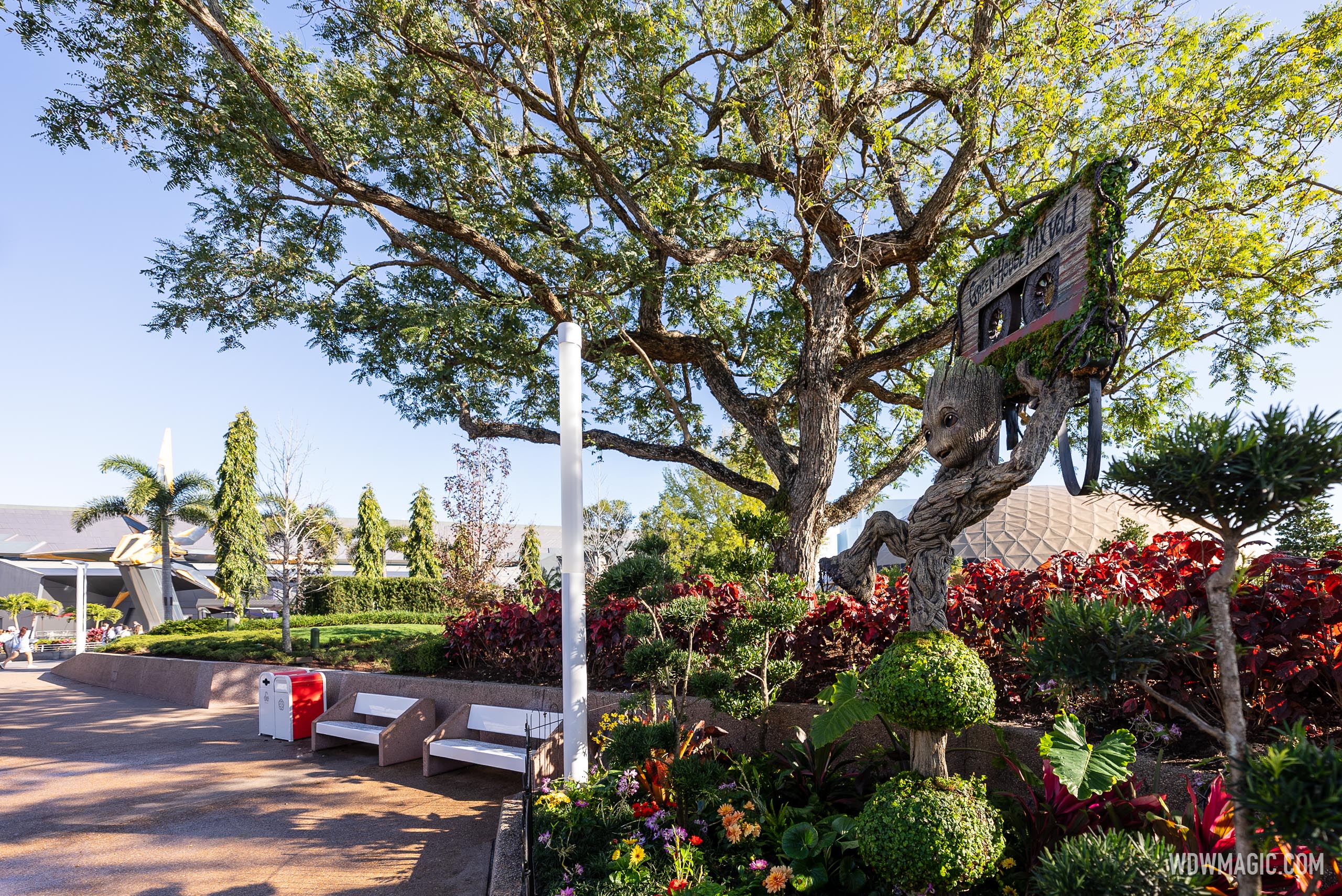 Groot Topiary at EPCOT International Flower and Garden Festival - Photo ...