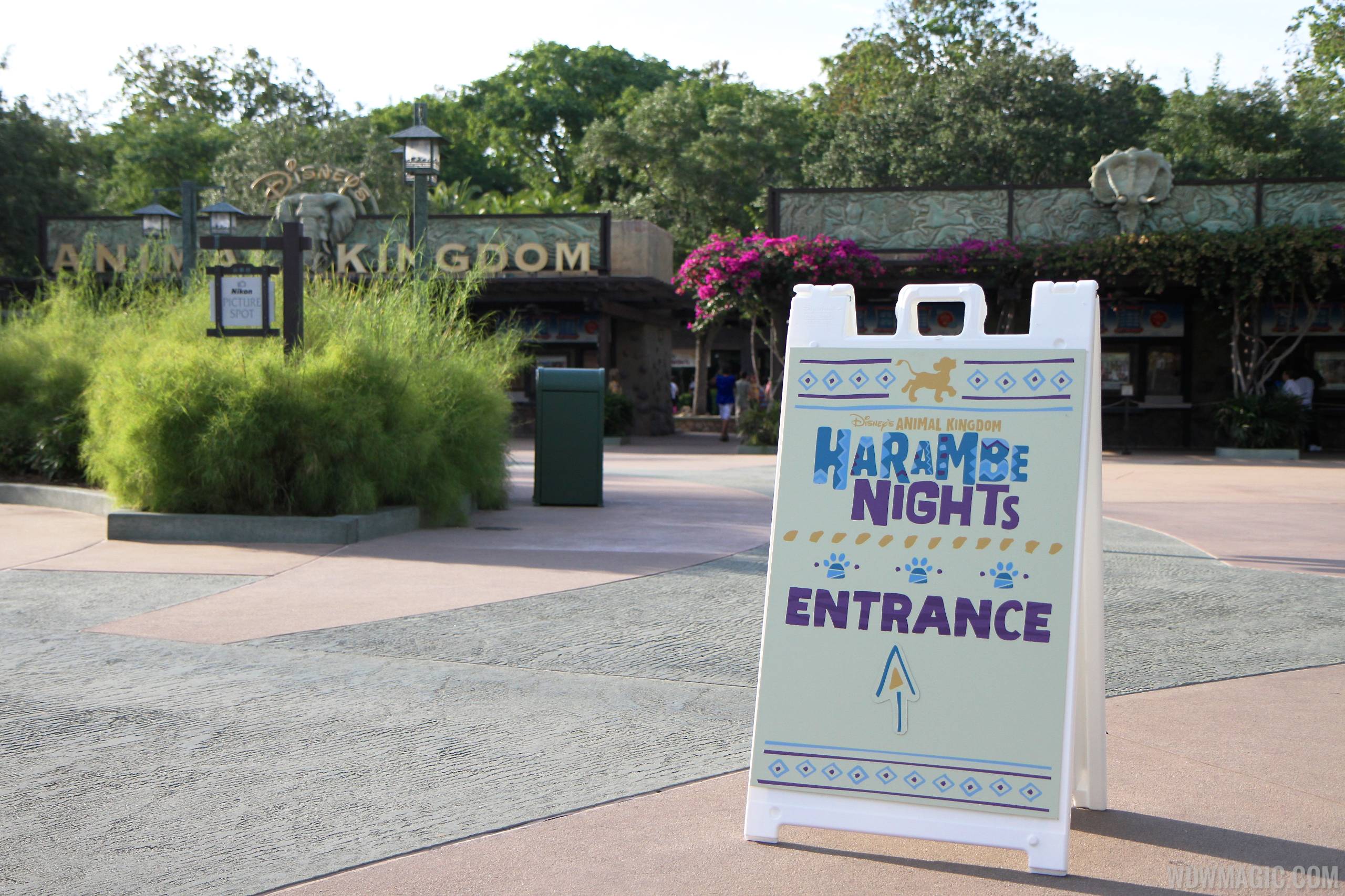Harambe Nights opening night