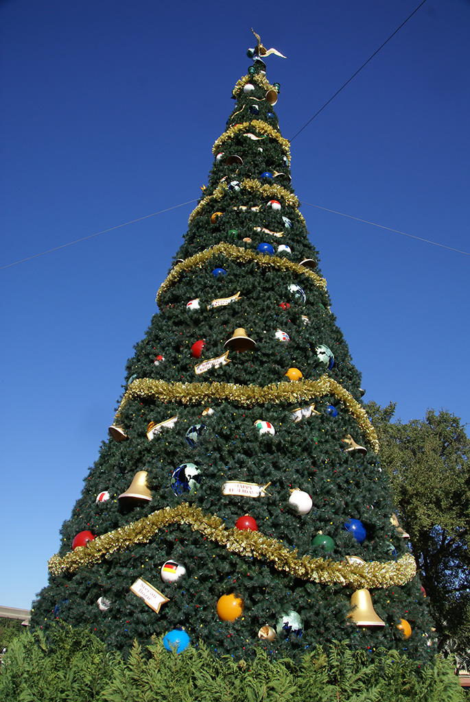 2009 Christmas tree - Photo 3 of 5