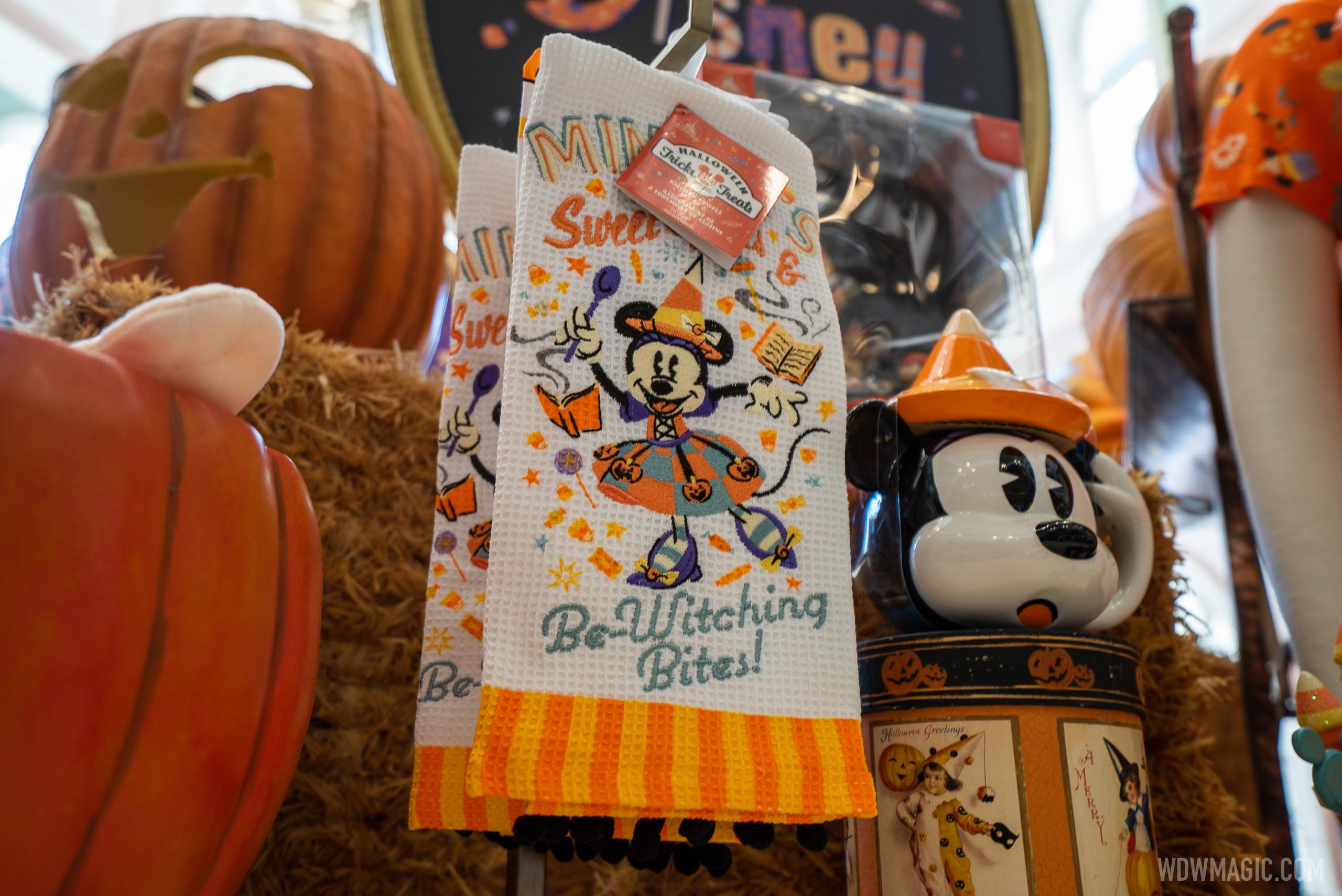 2020 Walt Disney World Halloween merchandise - Photo 10 of 21