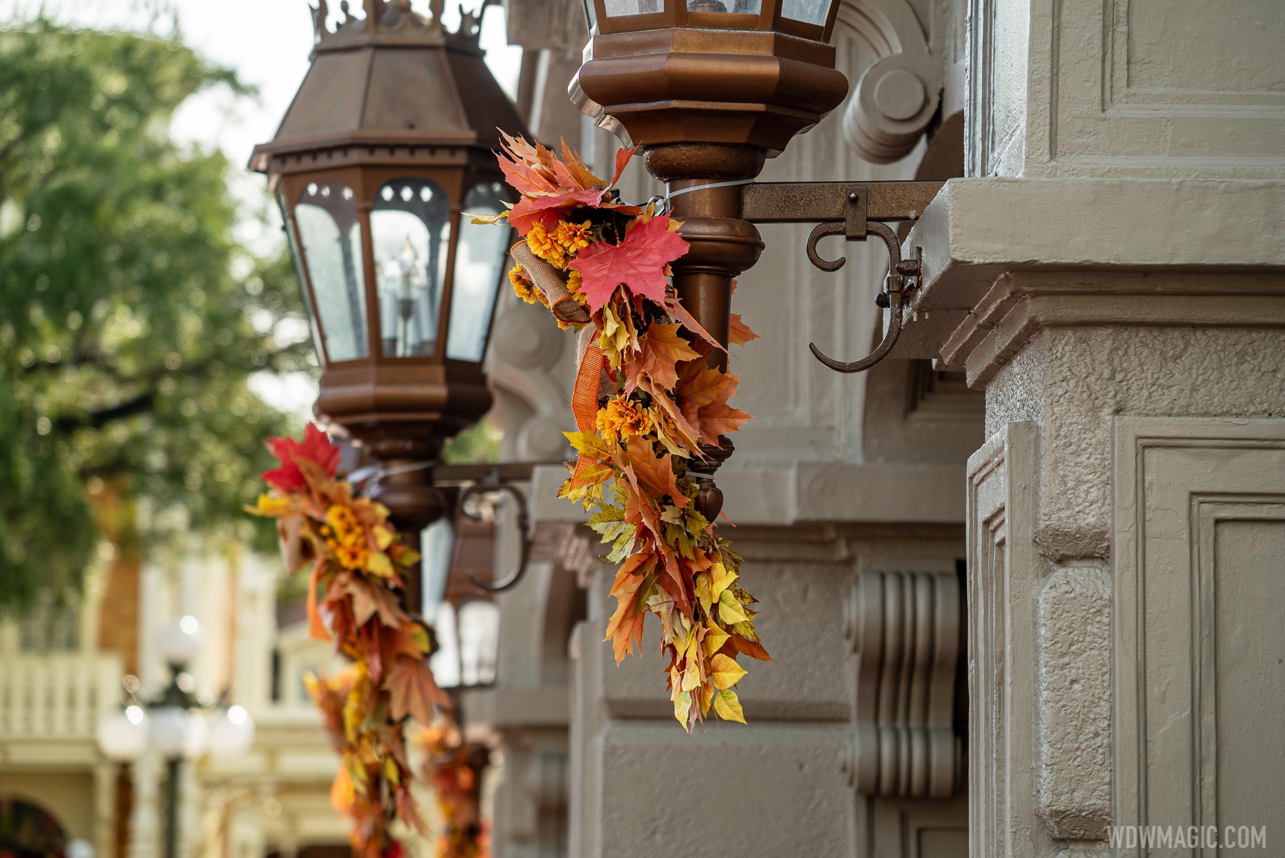 Magic Kingdom fall decor arrives - Photo 2 of 10