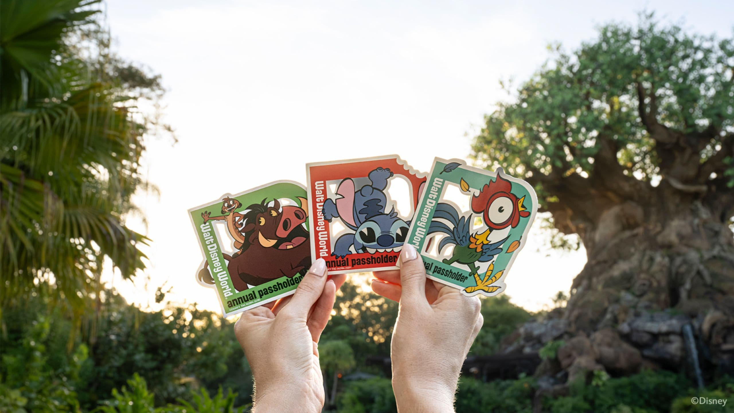 Disney World Annual Passholder Magnet Pickup Brings Back Three Fan ...
