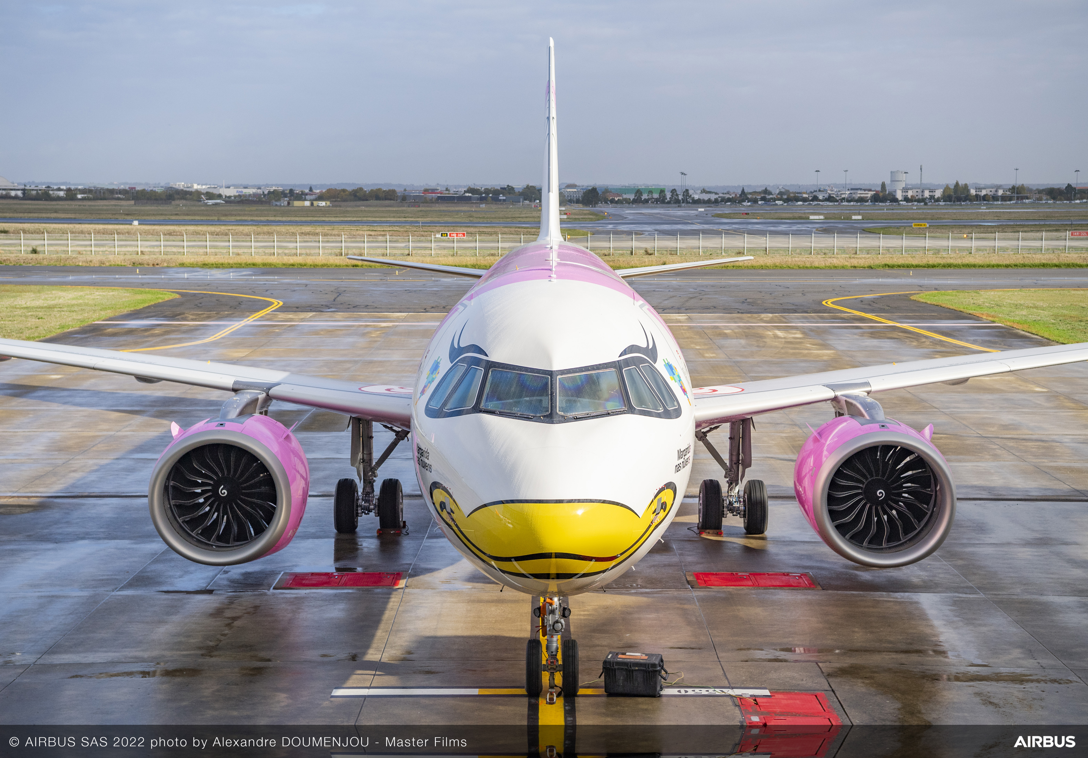 Azul Linhas Aéreas Airbus A320 Neo Daisy Duck - Photo 2 of 4