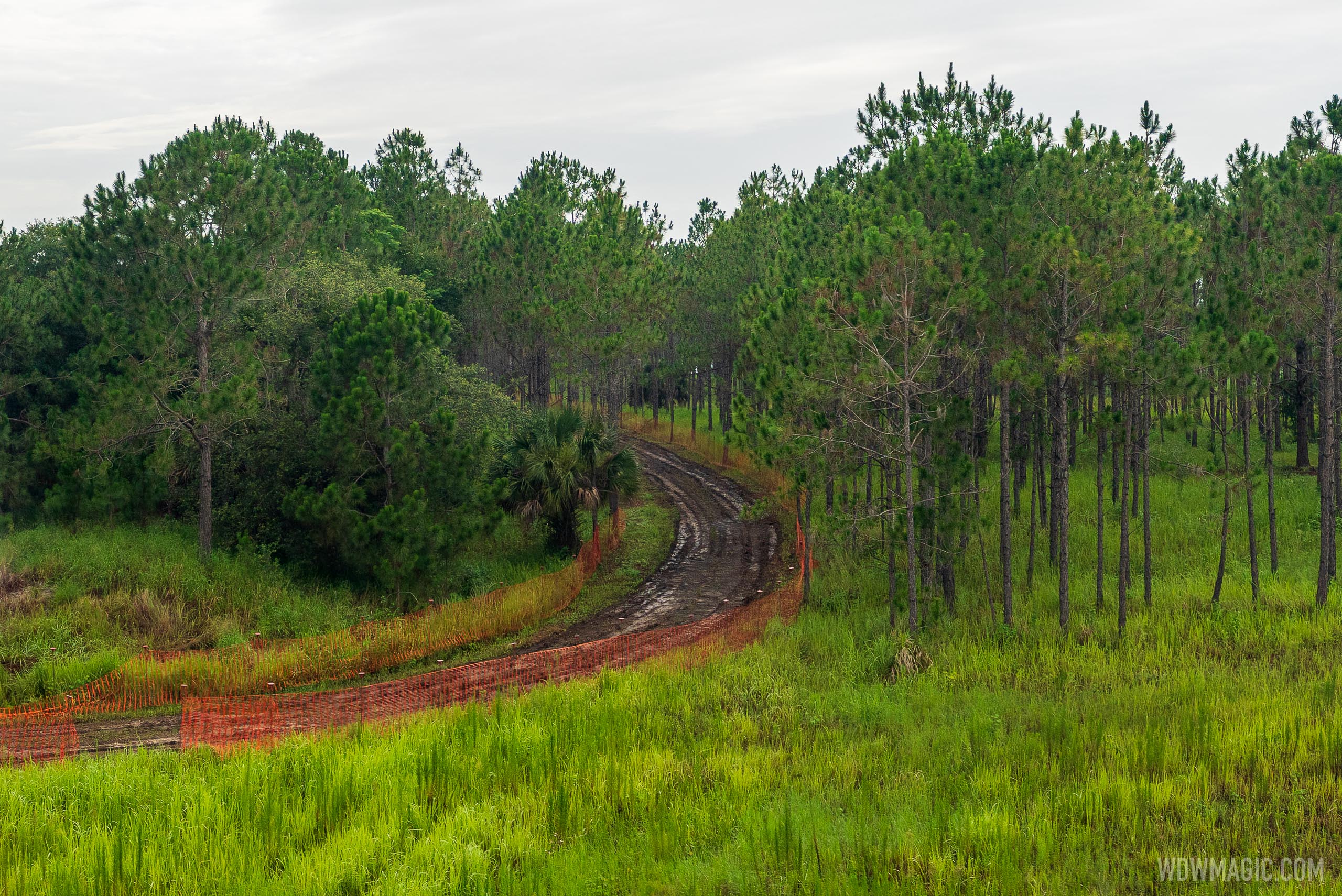 Activity on the most prized piece of land at Walt Disney World sparks ...
