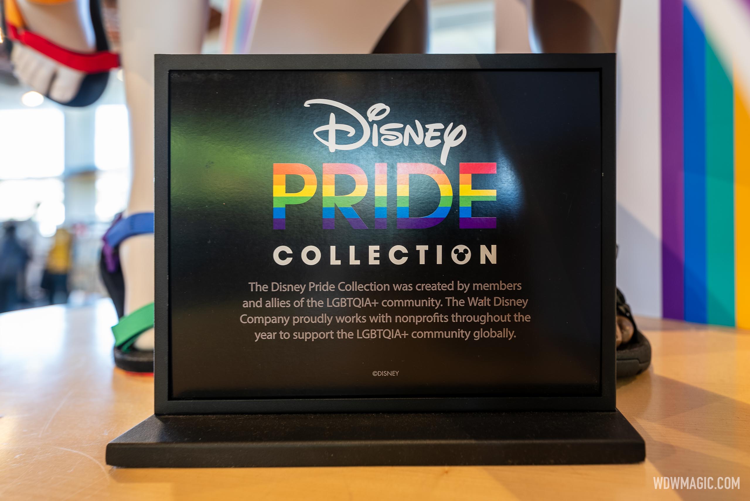 2024 Disney Pride Collection at EPCOT's Creations Shop - Photo 21 of 22