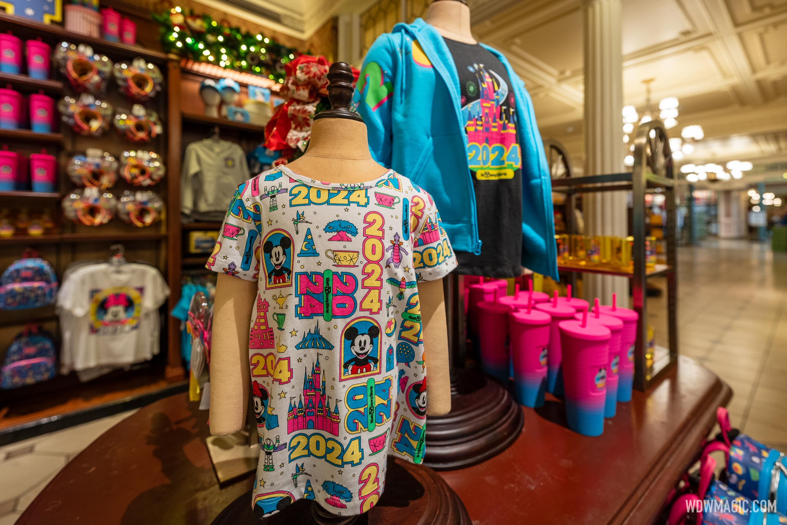 Walt Disney World 2024 logo merchandise - Photo 7 of 20