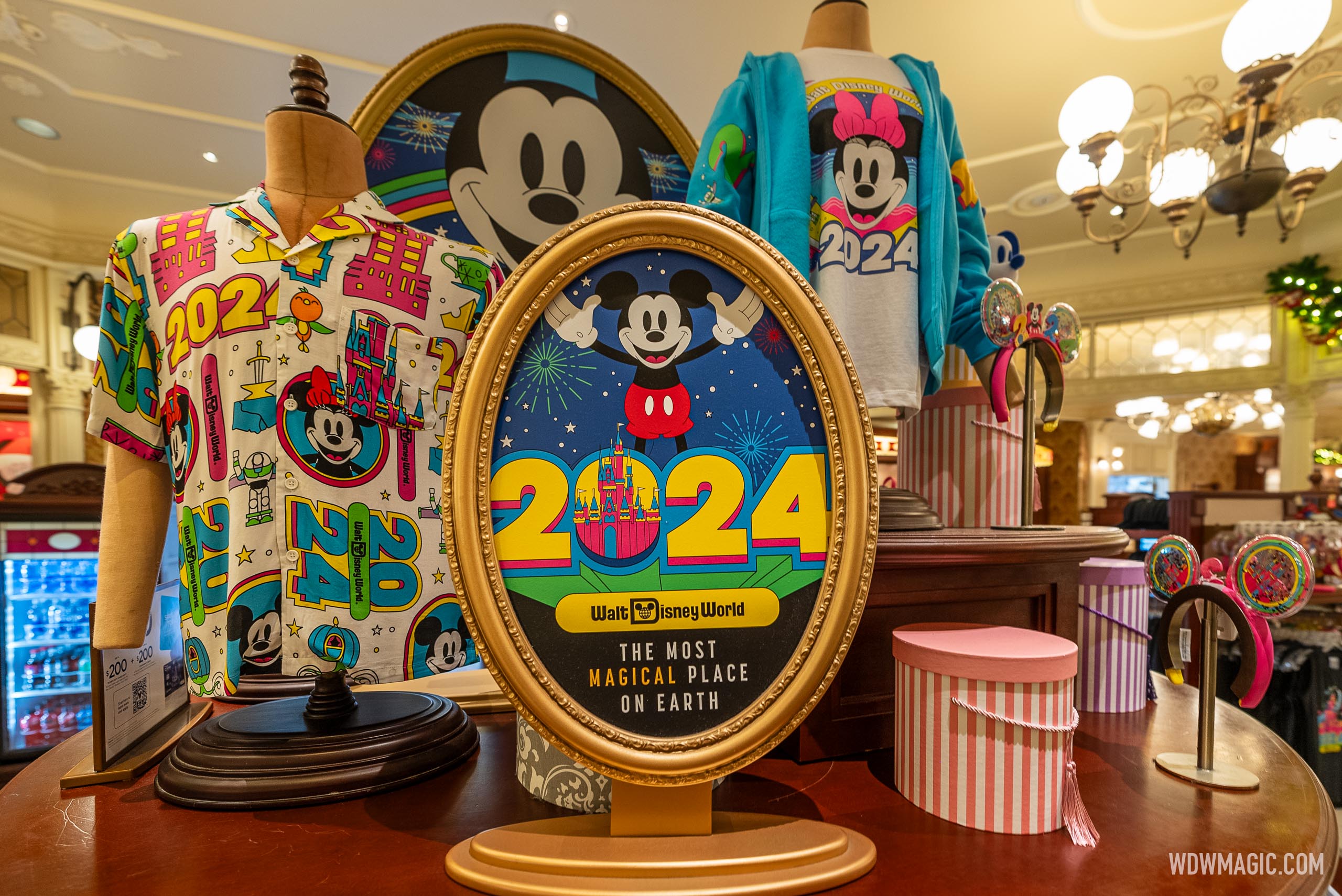 Walt Disney World 2024 logo merchandise - Photo 15 of 20