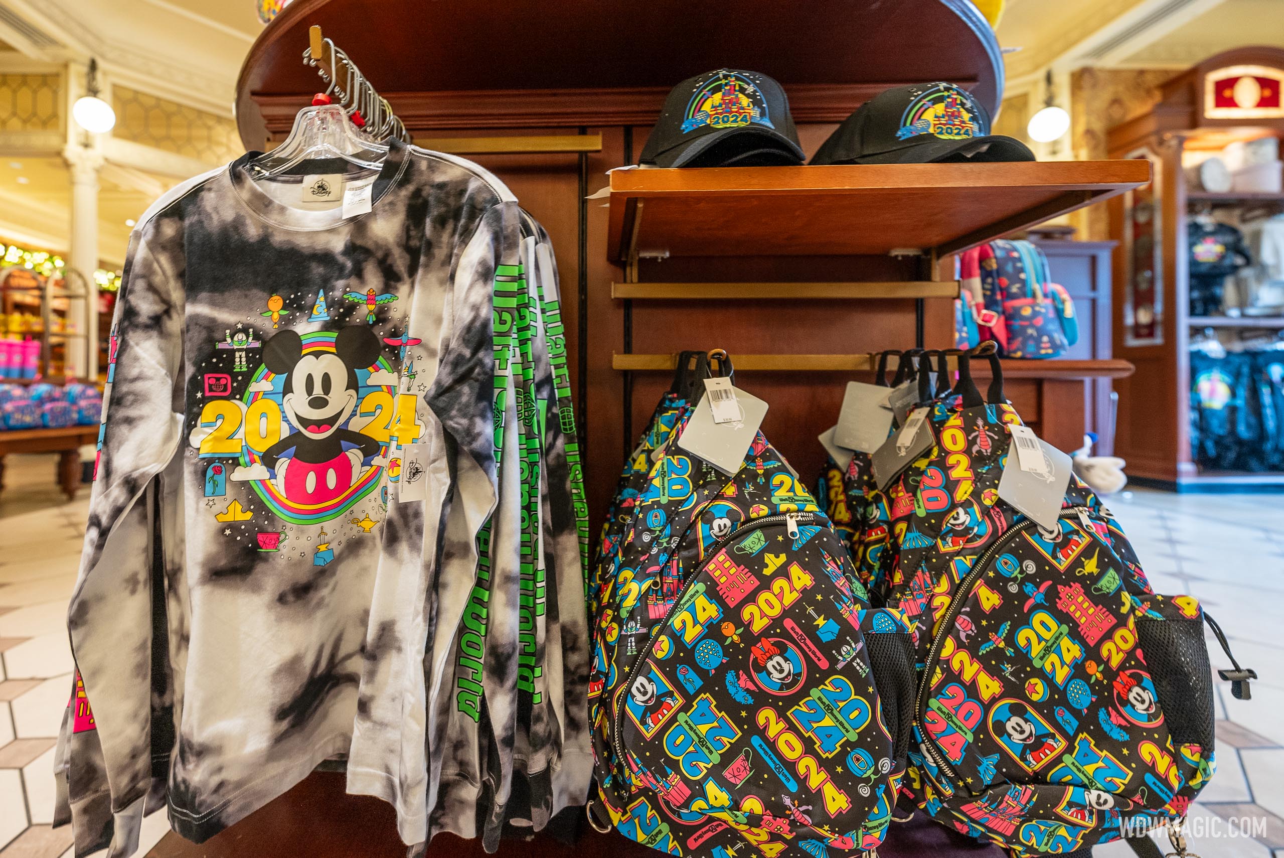 Walt Disney World 2024 logo merchandise - Photo 20 of 20