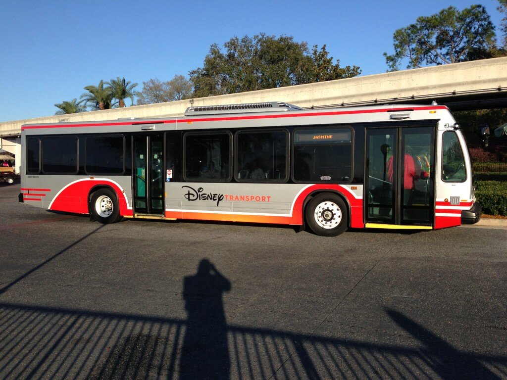 New bus transport paint scheme