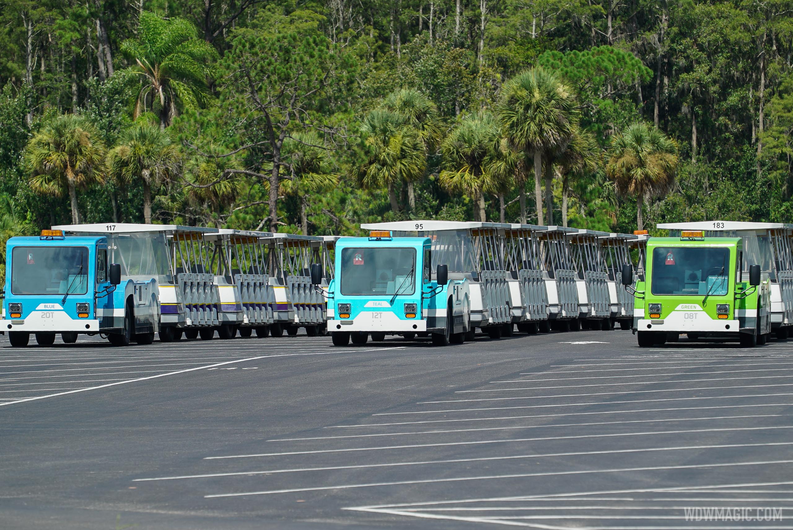 TTC Magic Kingdom Parking Lot Trams 2020 - Photo 2 of 6